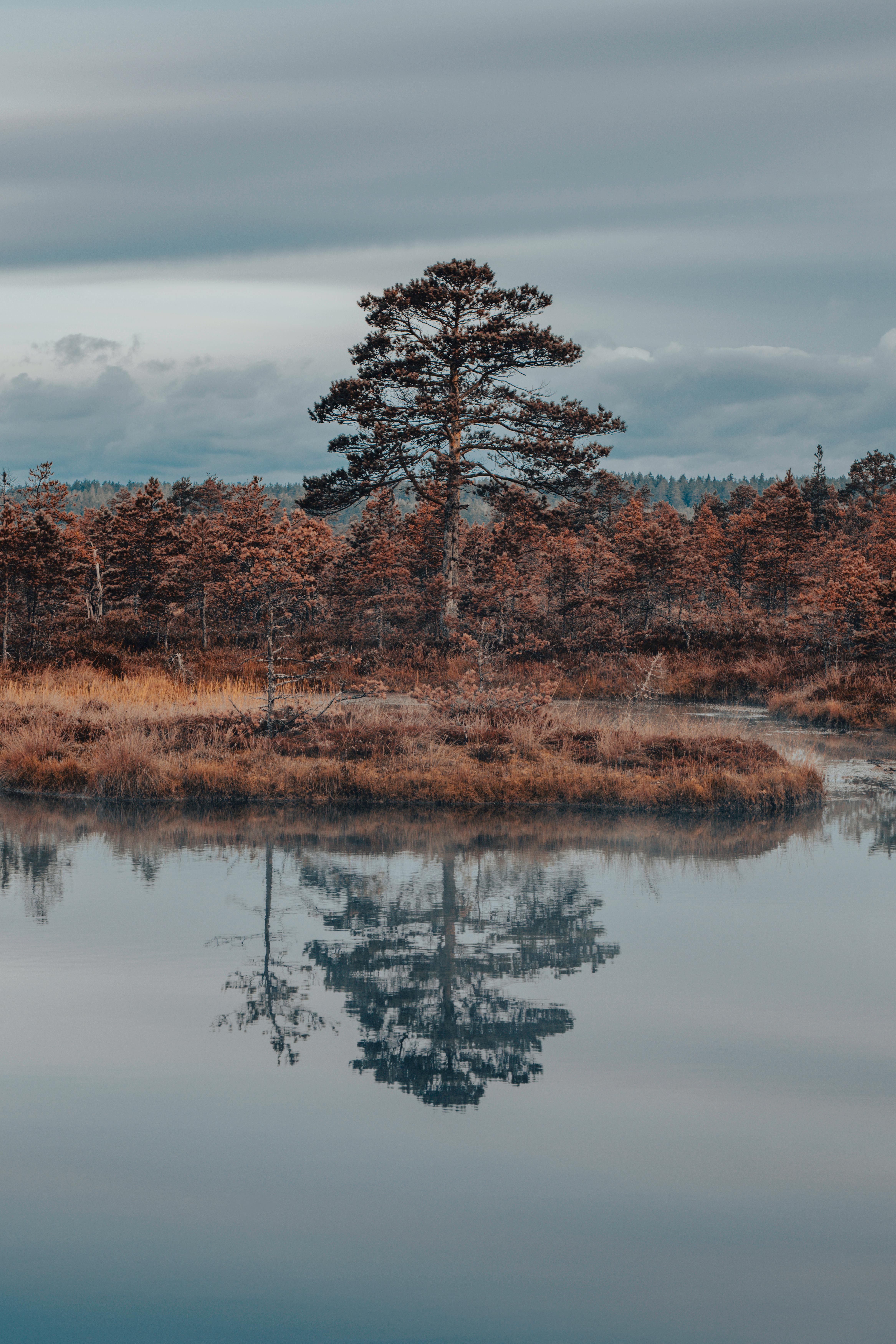 Images+Minecraft Photos, Download The BEST Free Images+Minecraft Stock ...