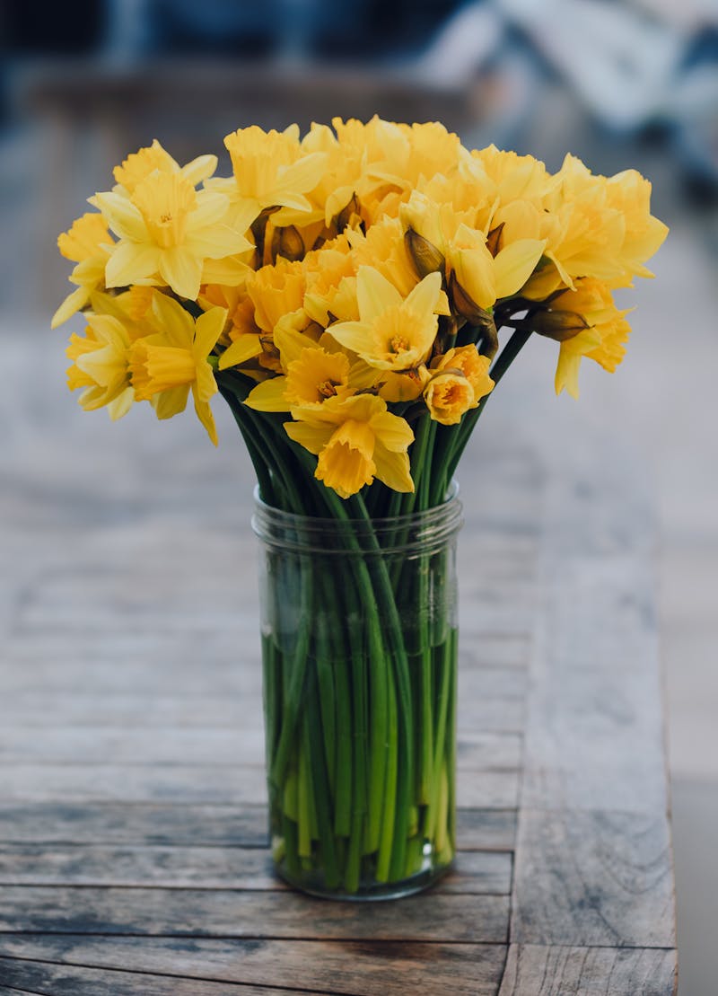 Yellow Color Photos, Download The BEST Free Yellow Color Stock Photos ...