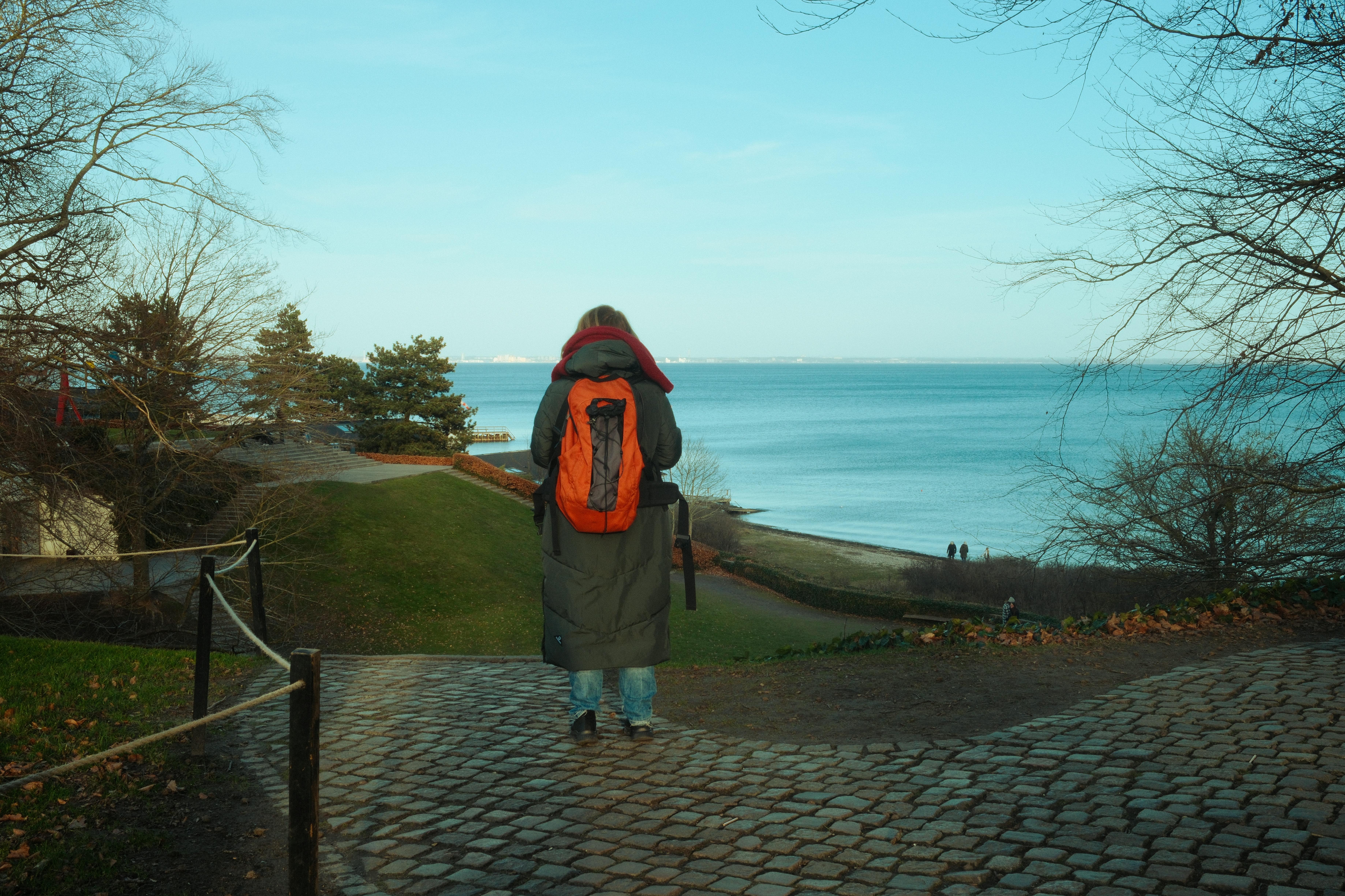 Visitor Photos, Download The BEST Free Visitor Stock Photos & HD Images