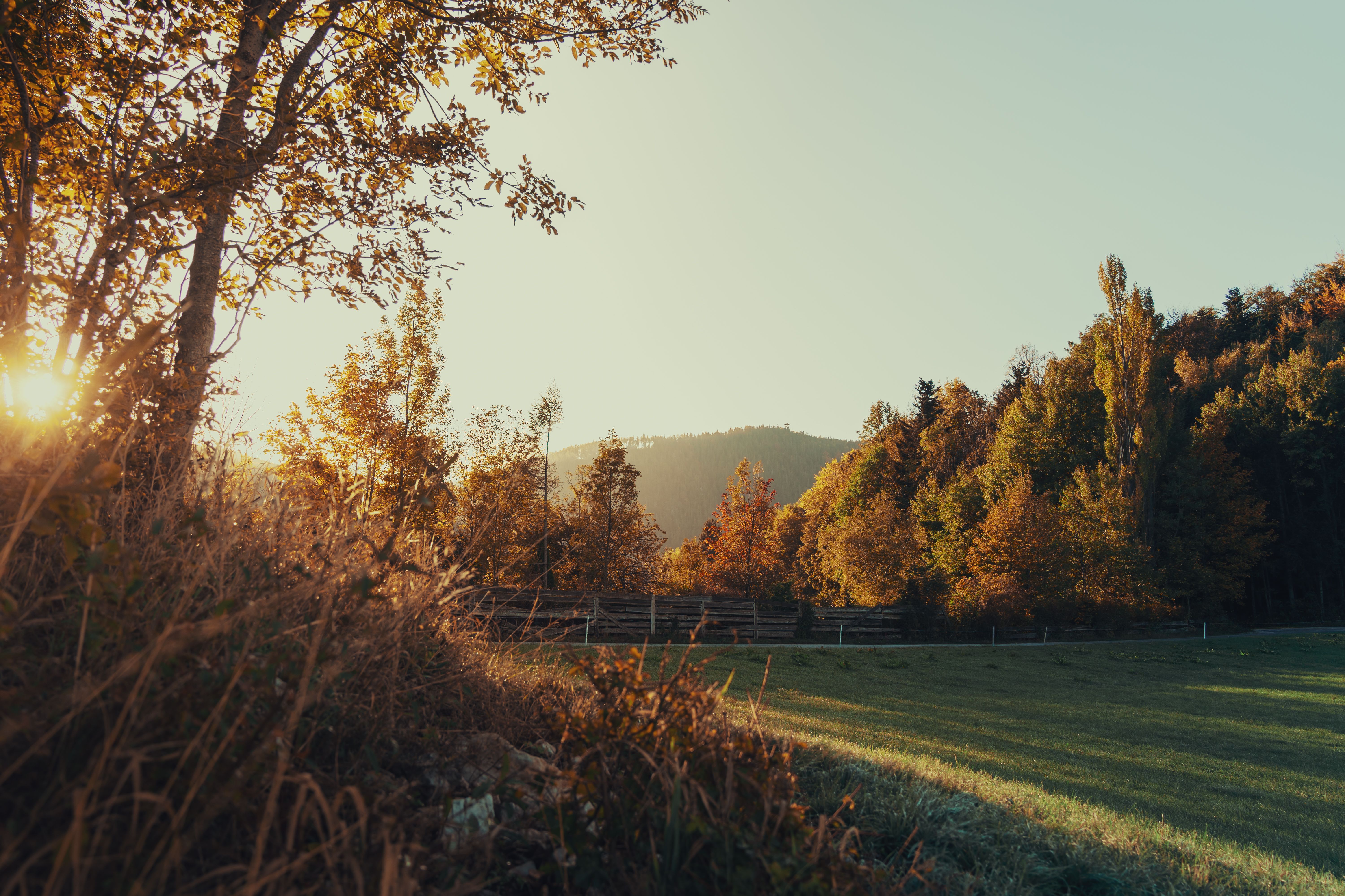 Paisaje Idílico De Otoño Con Luz Solar En Austria · Foto de stock gratuita