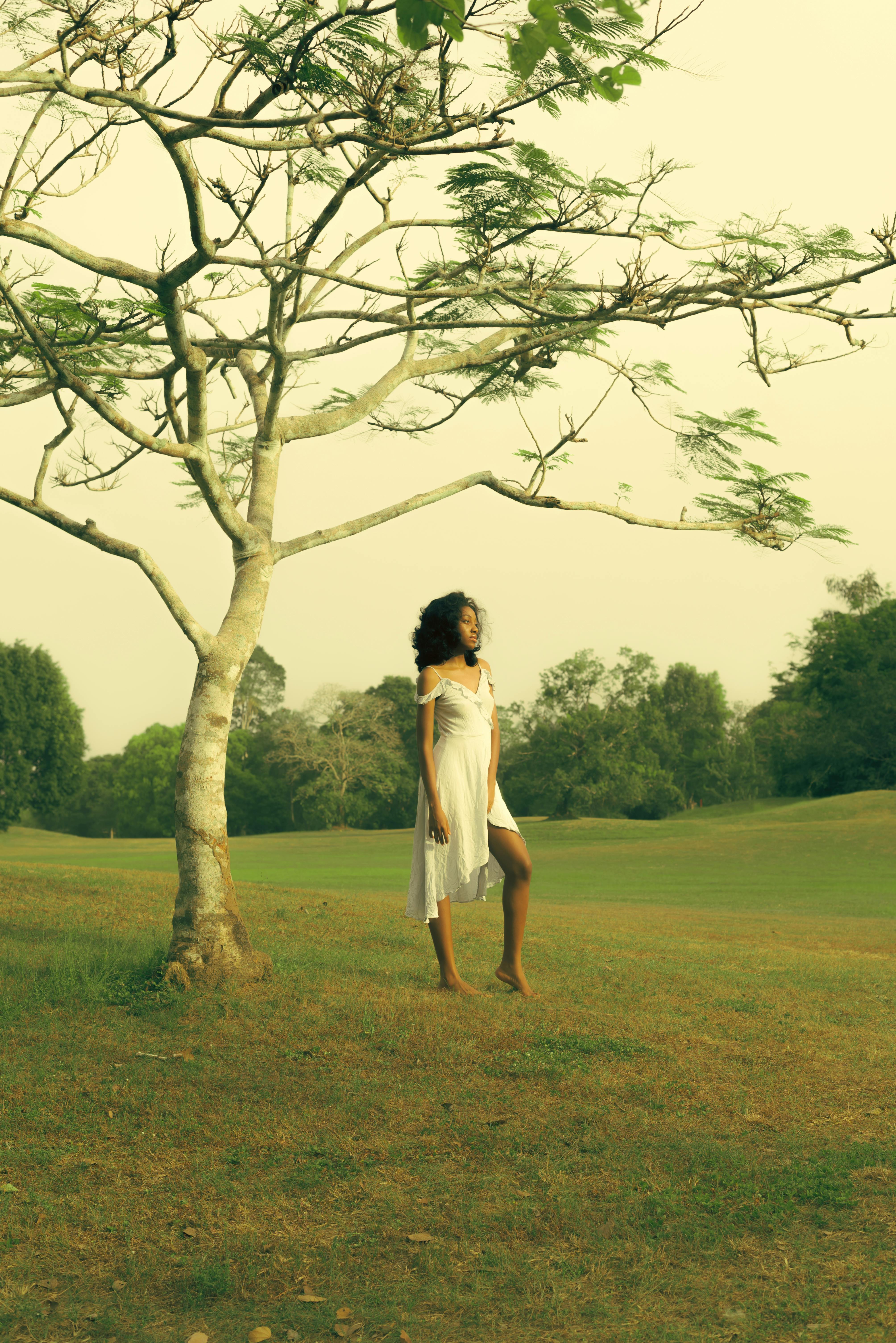 Elegant Portrait of Woman Under Tree in Park · Free Stock Photo