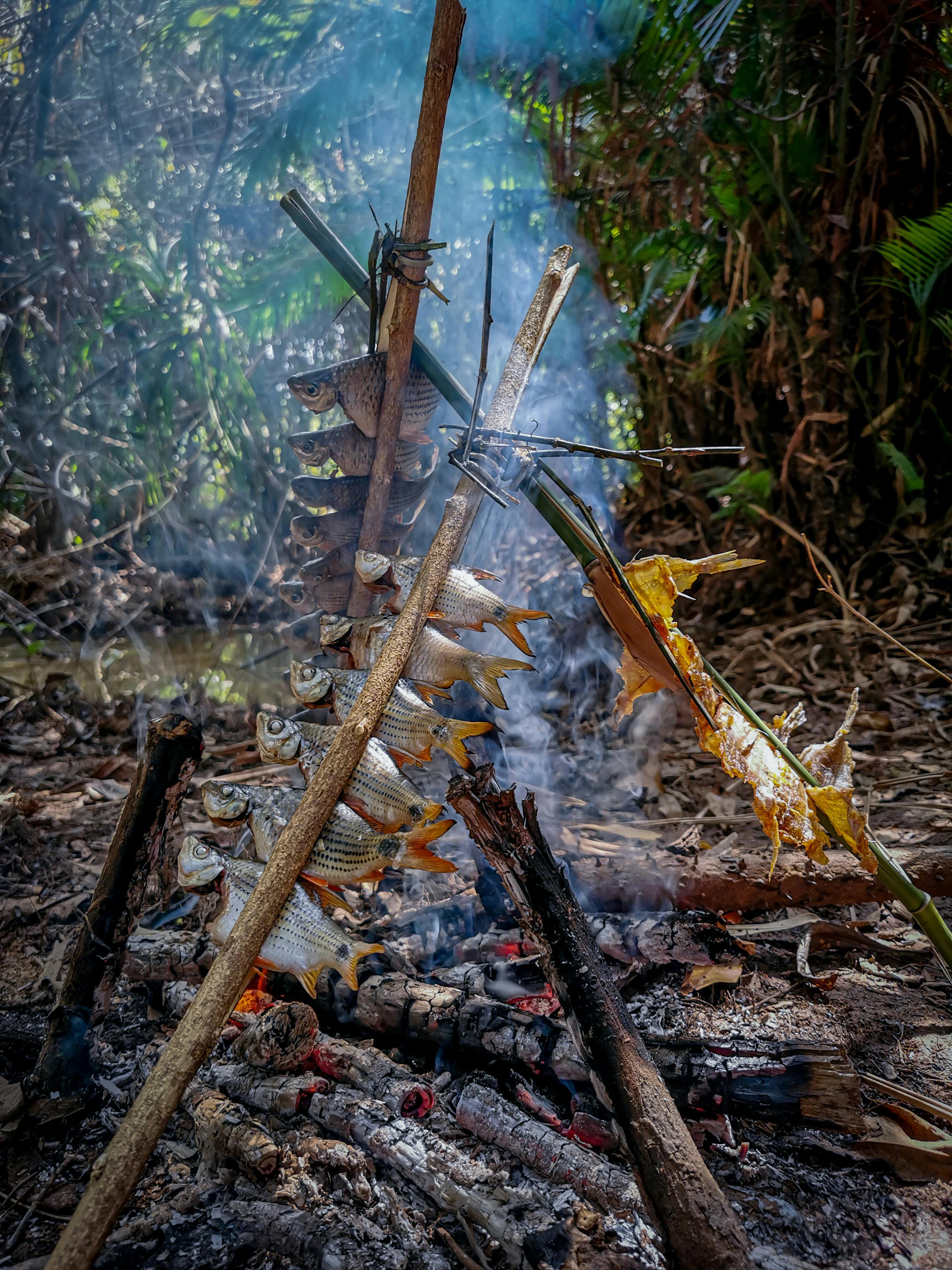Traditional Cambodian Fish Cooking Over Open Fire · Free Stock Photo