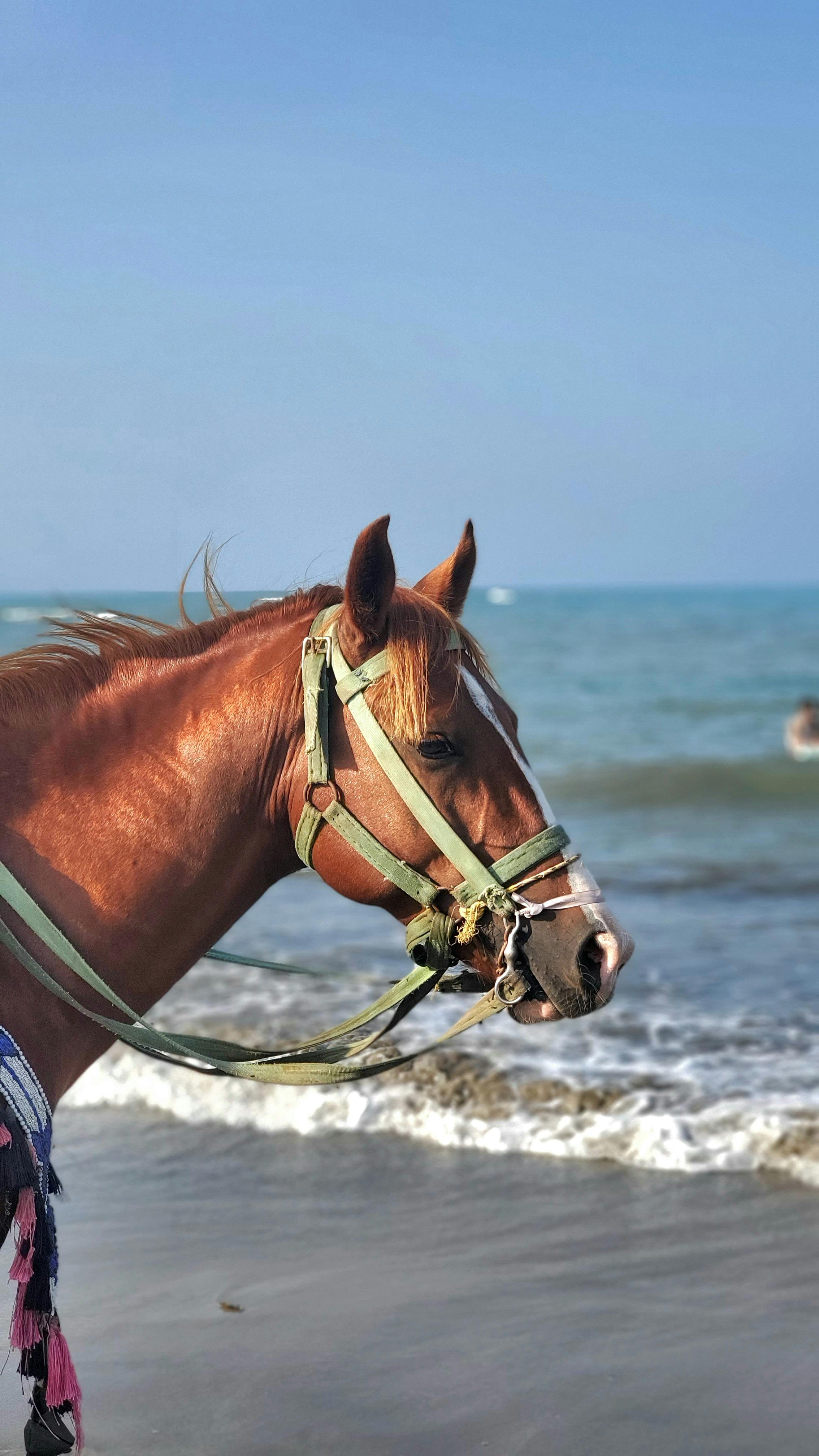 Aziza Mohammed - Photography