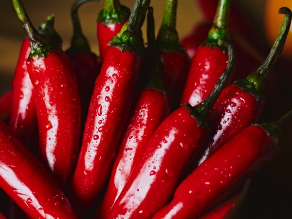 Bowl Of Chili Photos, Download The BEST Free Bowl Of Chili Stock Photos ...