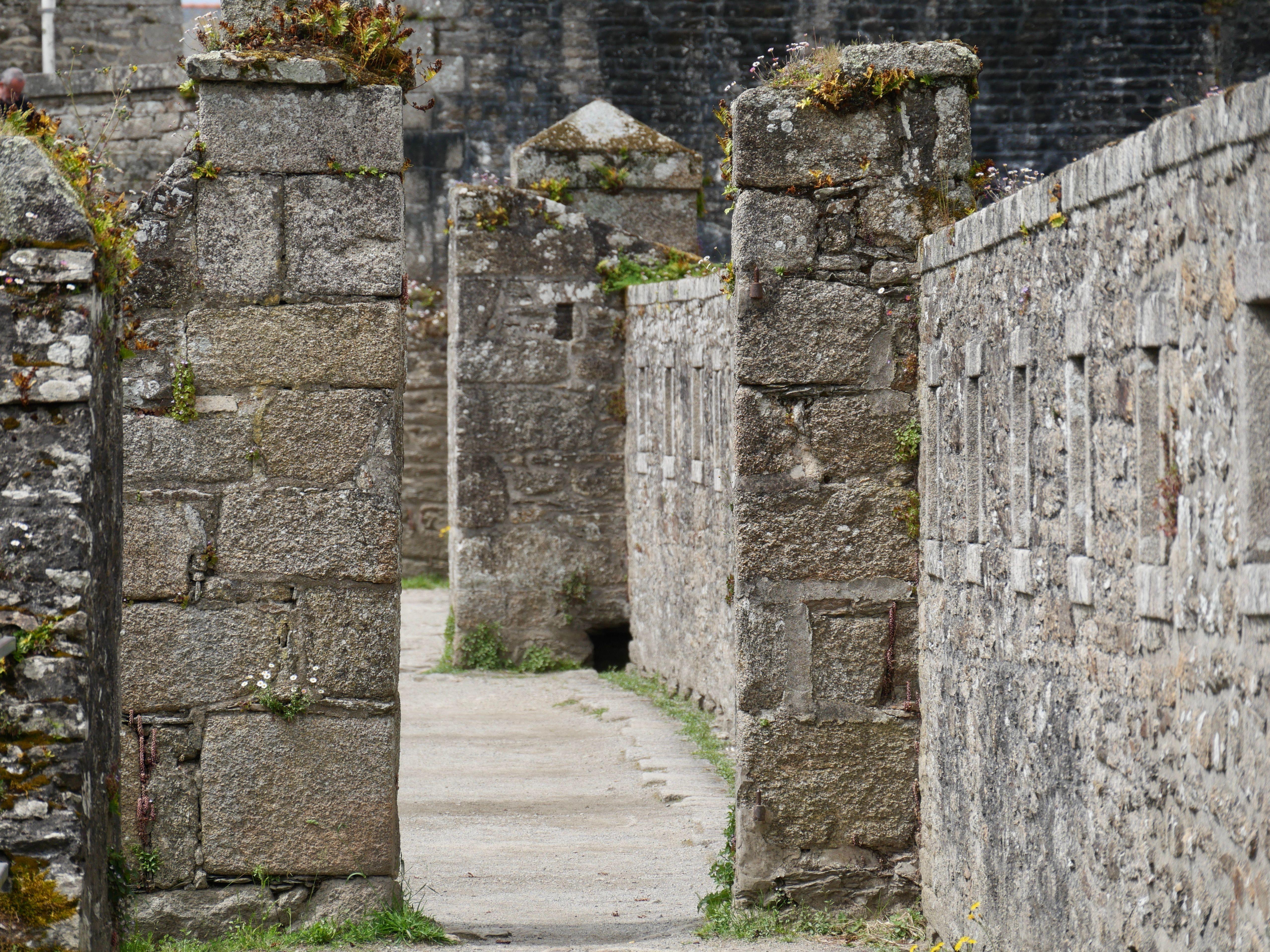 Classic Walls Photos, Download The BEST Free Classic Walls Stock Photos ...