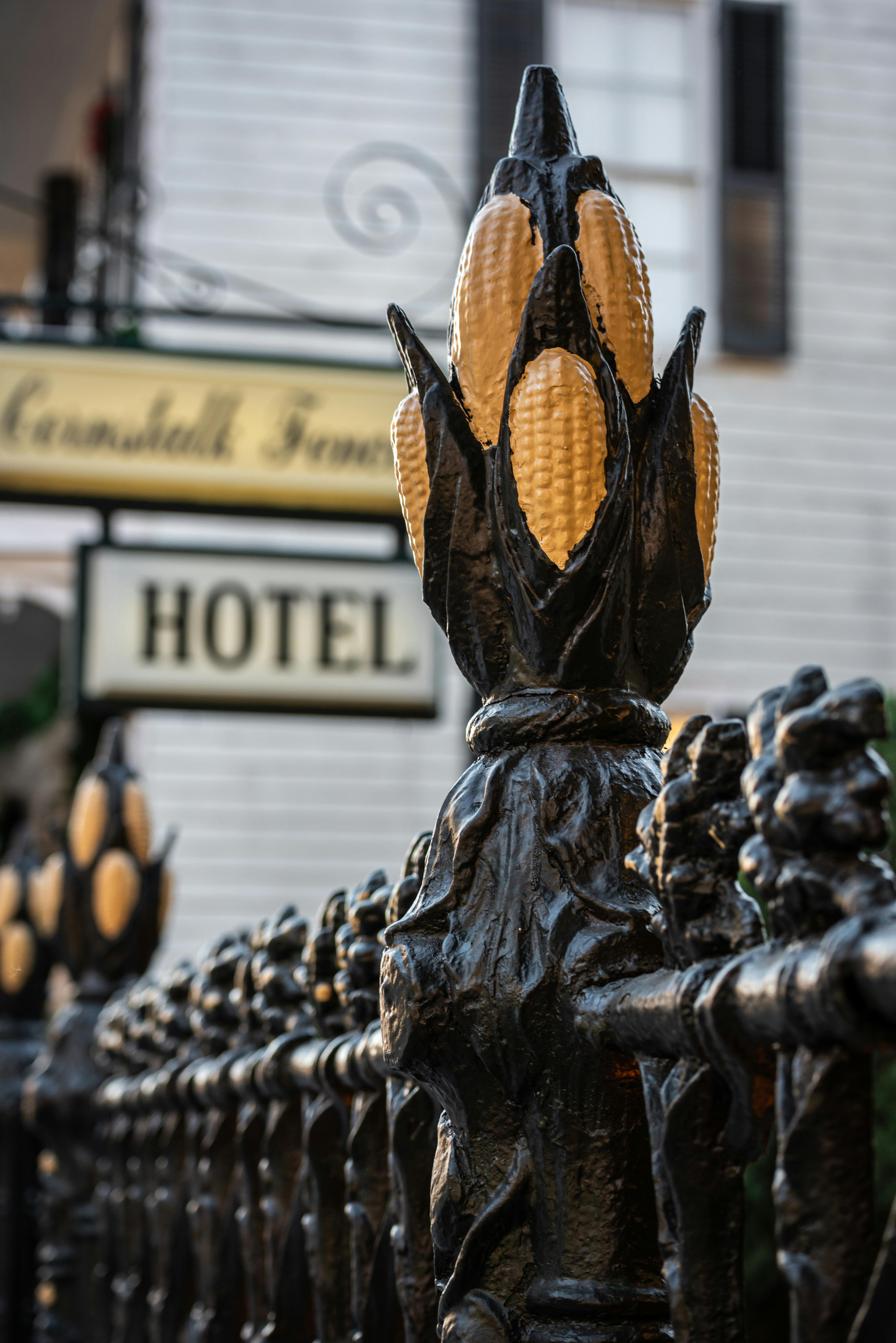 Metal Corn Fence Design in New Orleans · Free Stock Photo