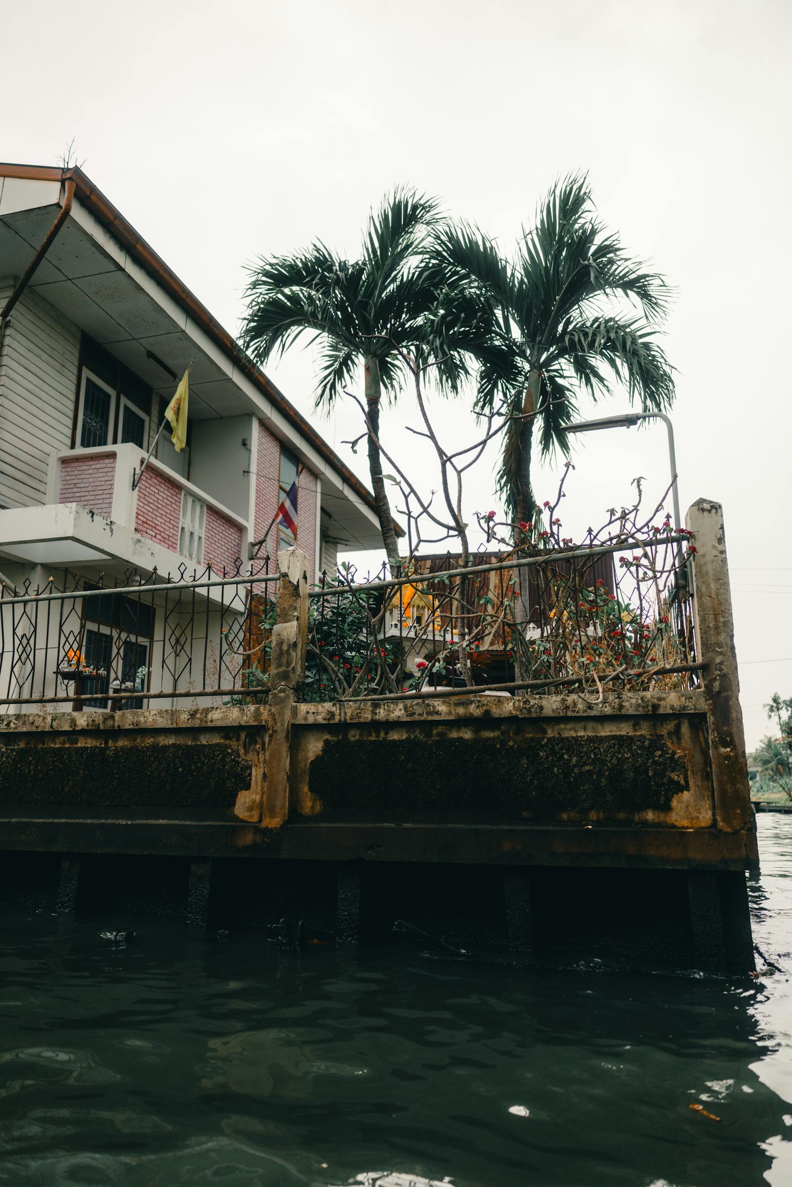 Nature House Photos, Download The BEST Free Nature House Stock Photos ...