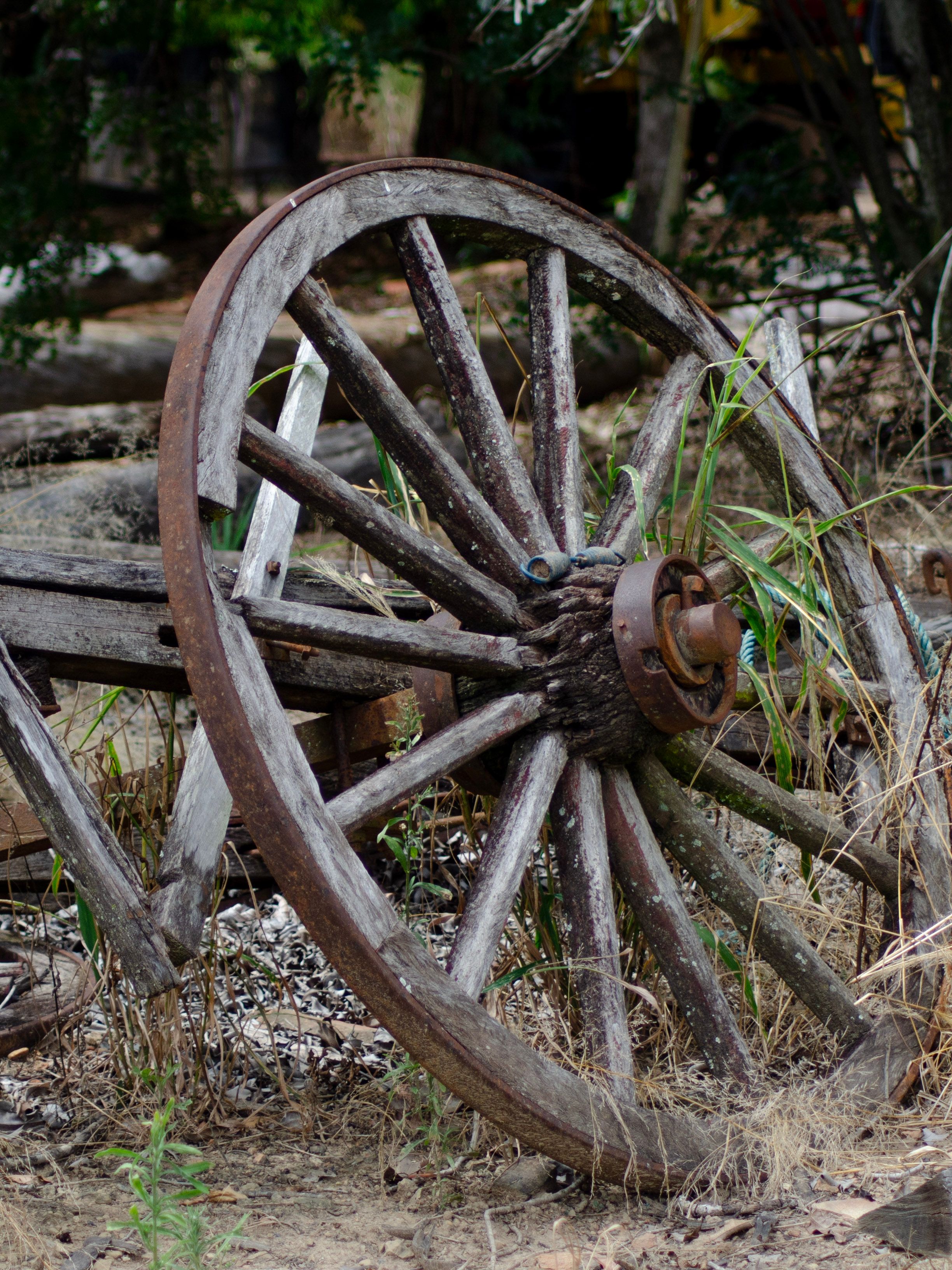 Rustic Wooden Wagon Wheel in Nature Setting · Free Stock Photo