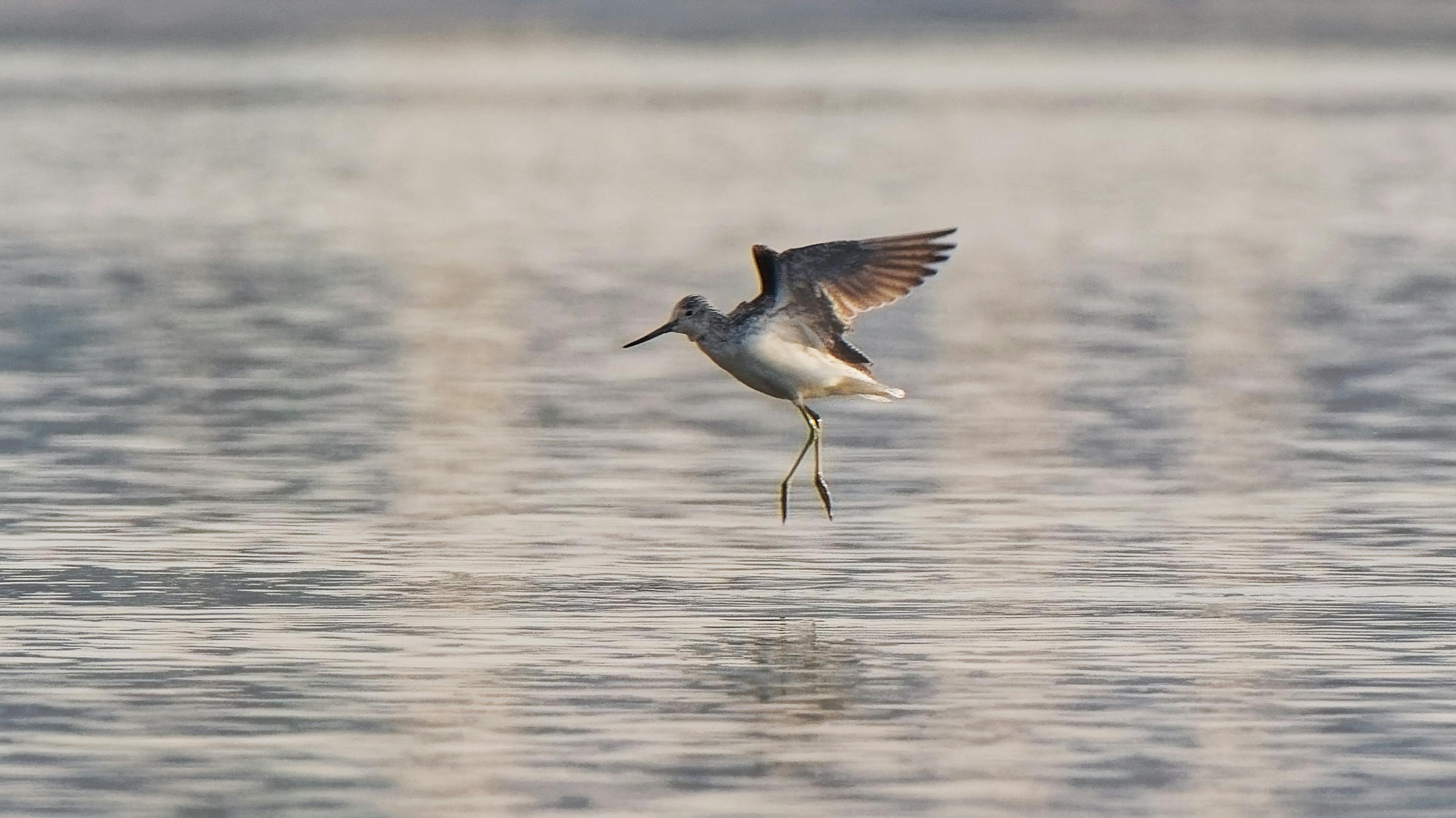 Taylor Swift Photos, Download The BEST Free Taylor Swift Stock Photos ...