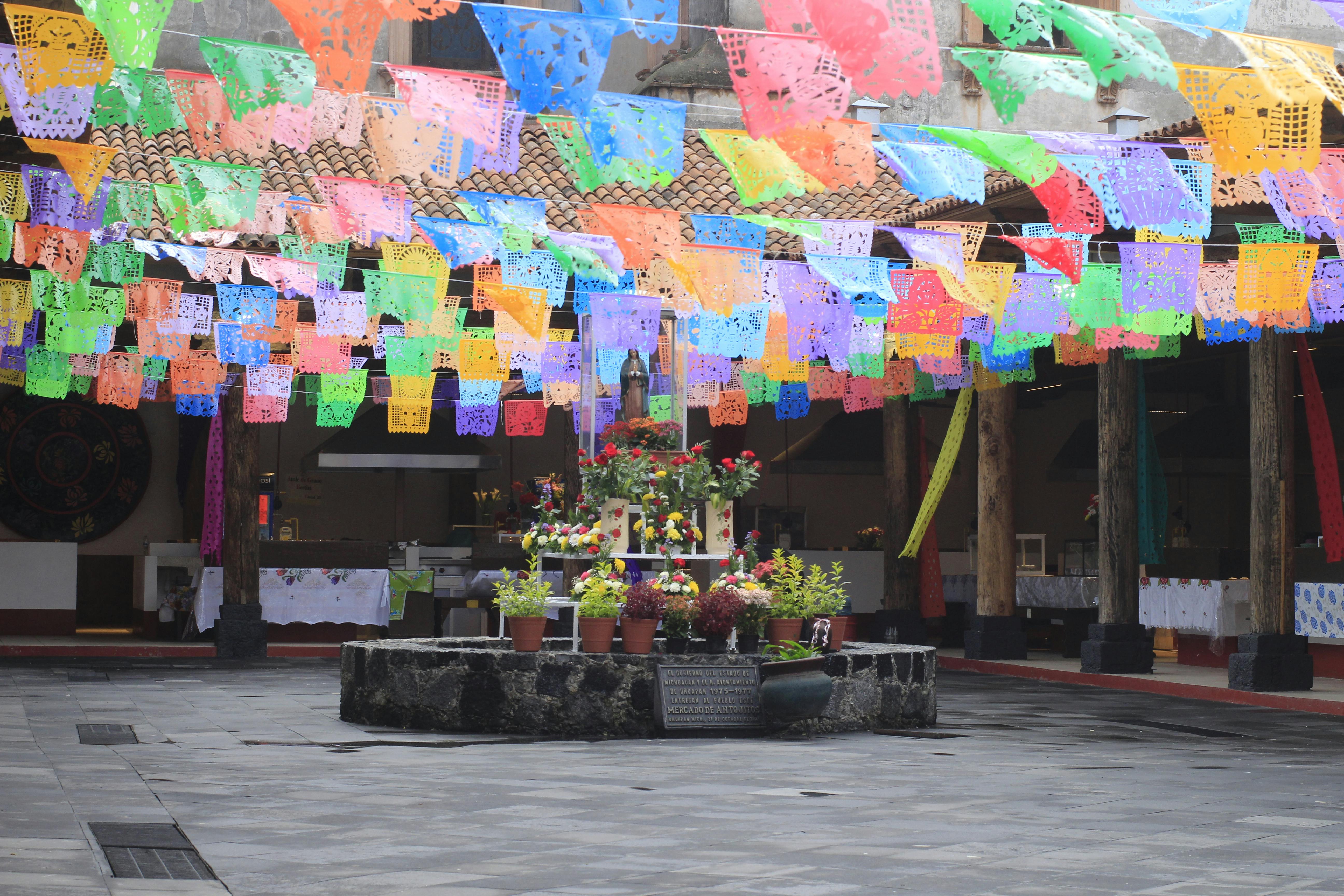 Picado Pimentao Photos, Download The BEST Free Picado Pimentao Stock ...