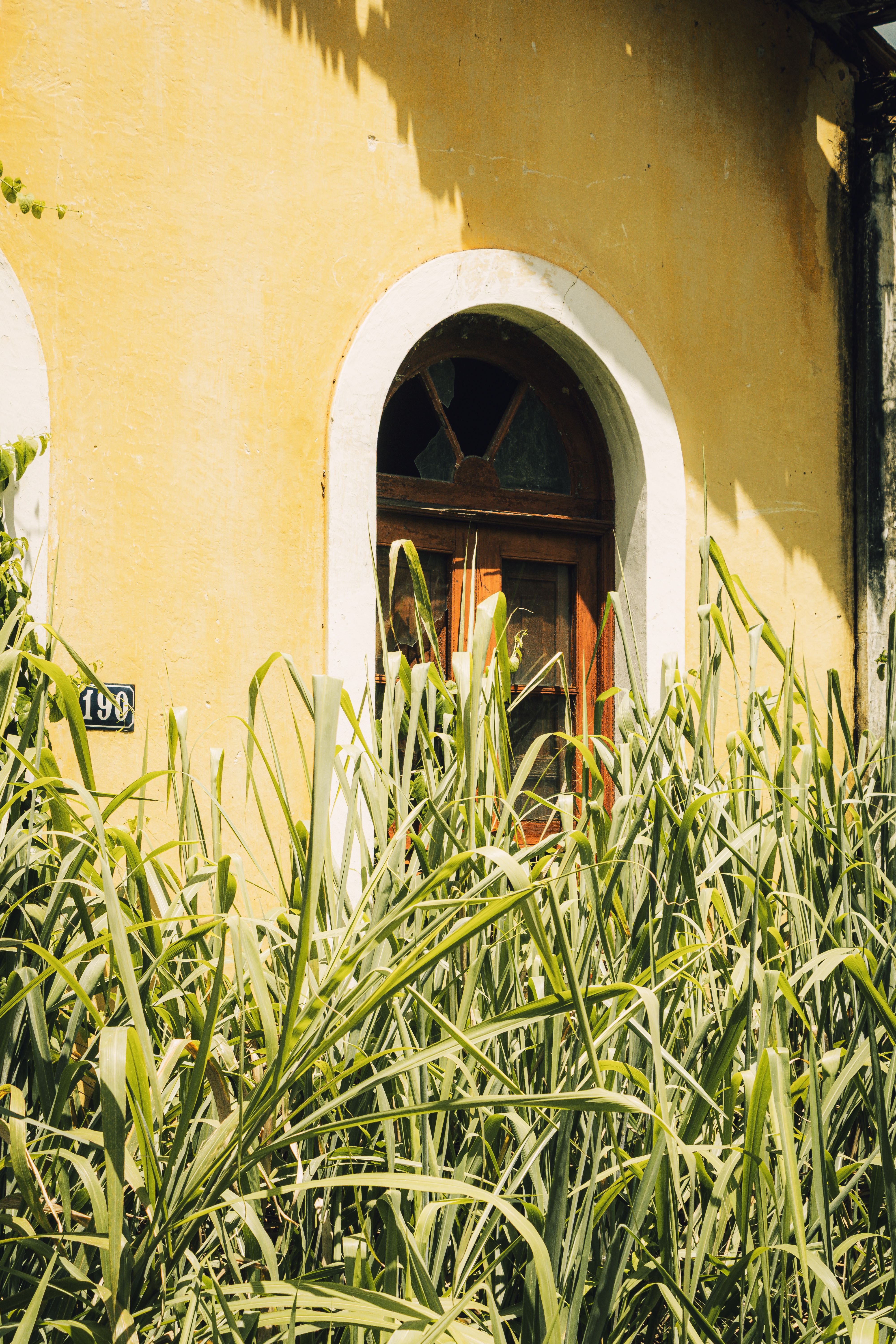 Charming Yellow Cottage with Arched Window · Free Stock Photo
