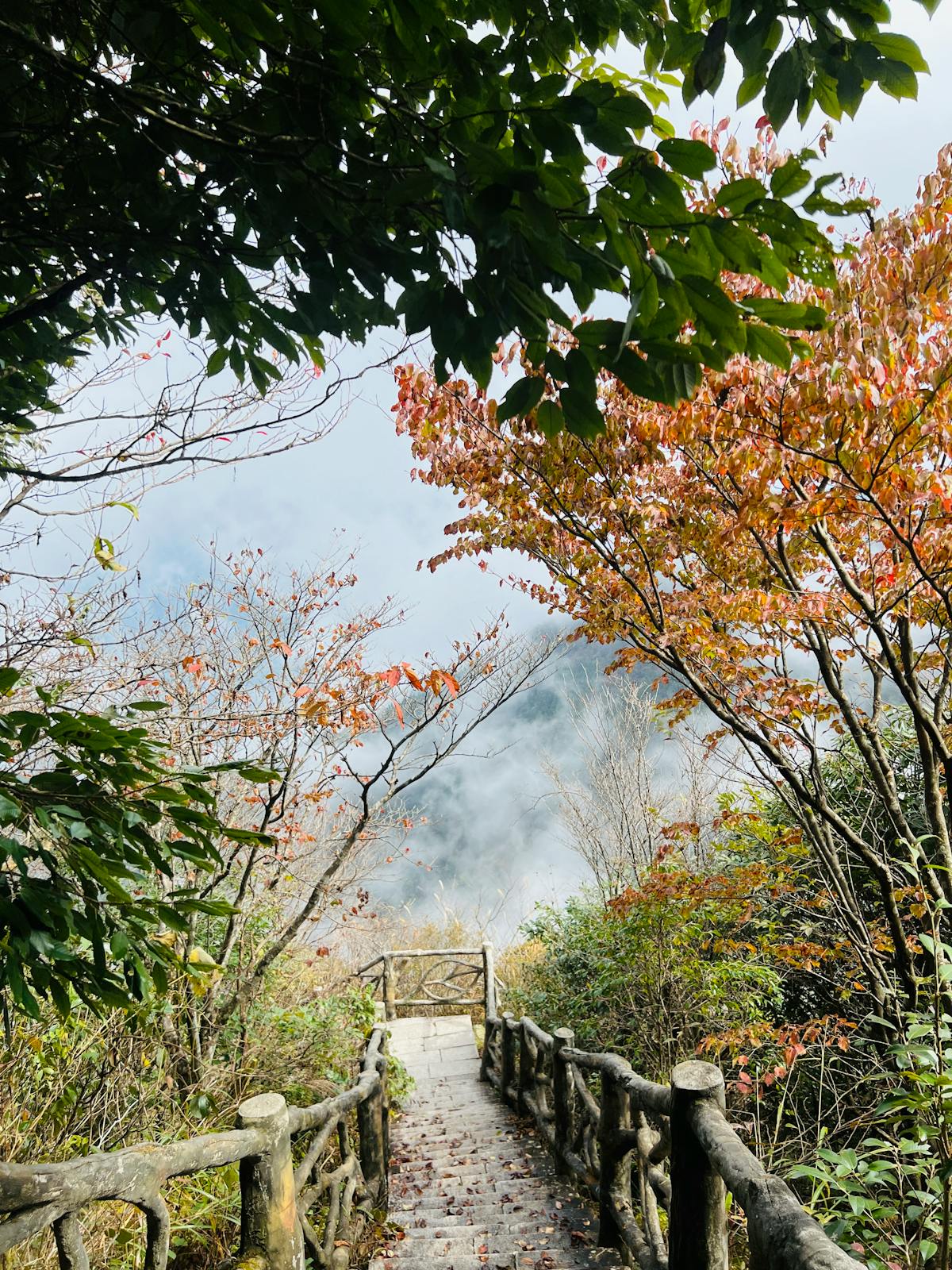 Autumn Landscape Photos, Download The BEST Free Autumn Landscape Stock ...