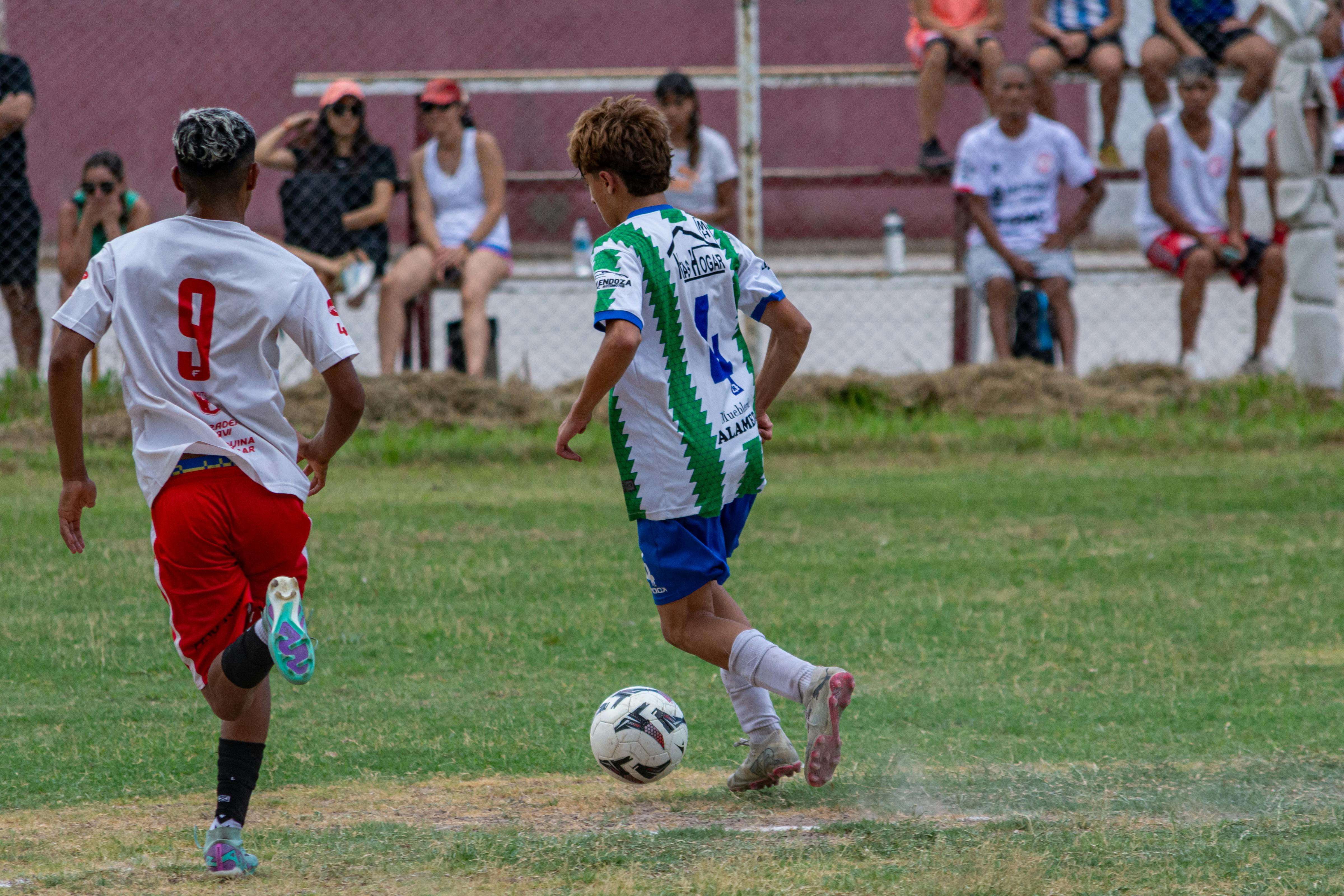 Youth Soccer Match in Action on Sunny Day · Free Stock Photo