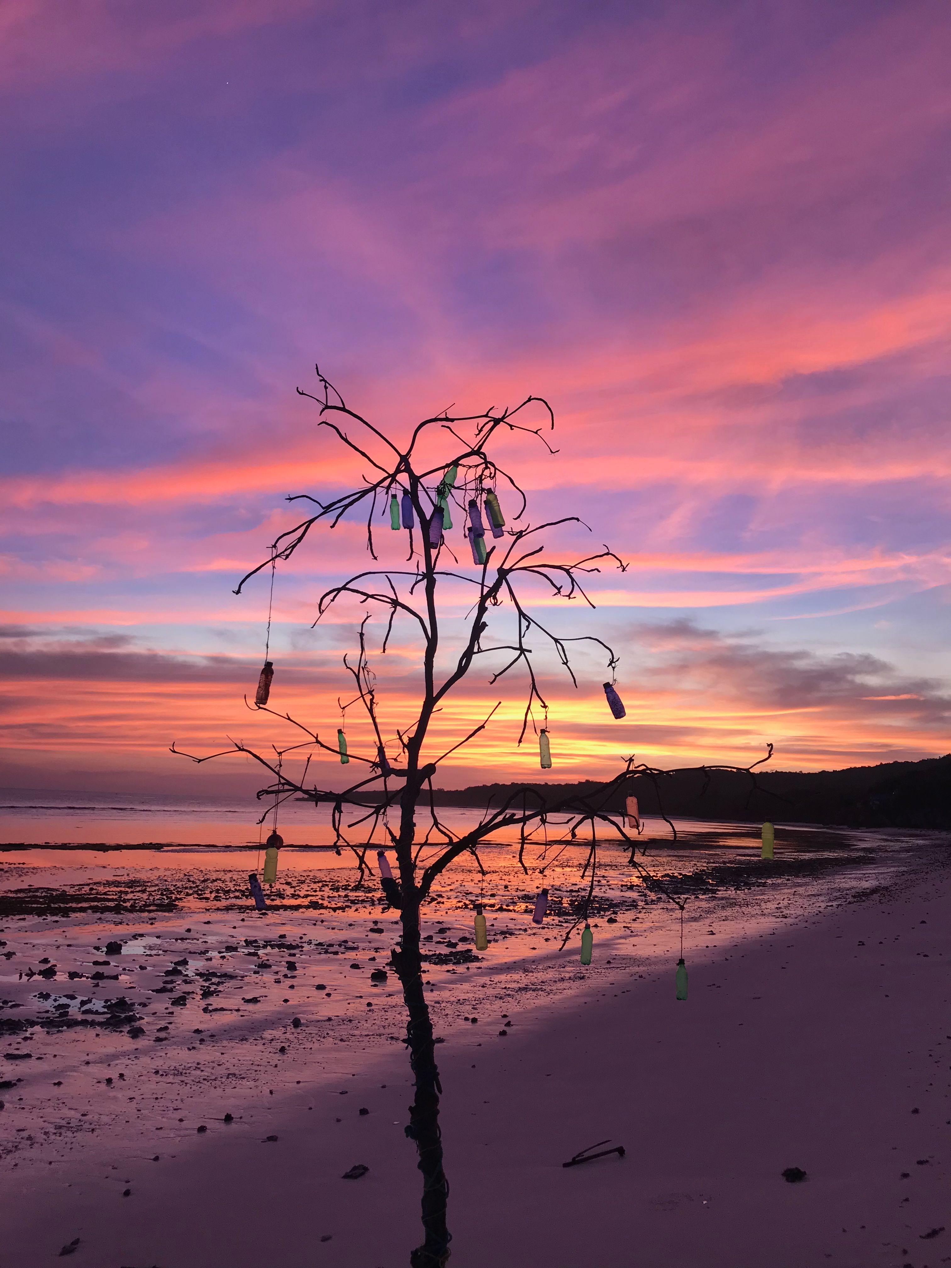 Stunning Indonesian Sunset with Decorated Tree · Free Stock Photo