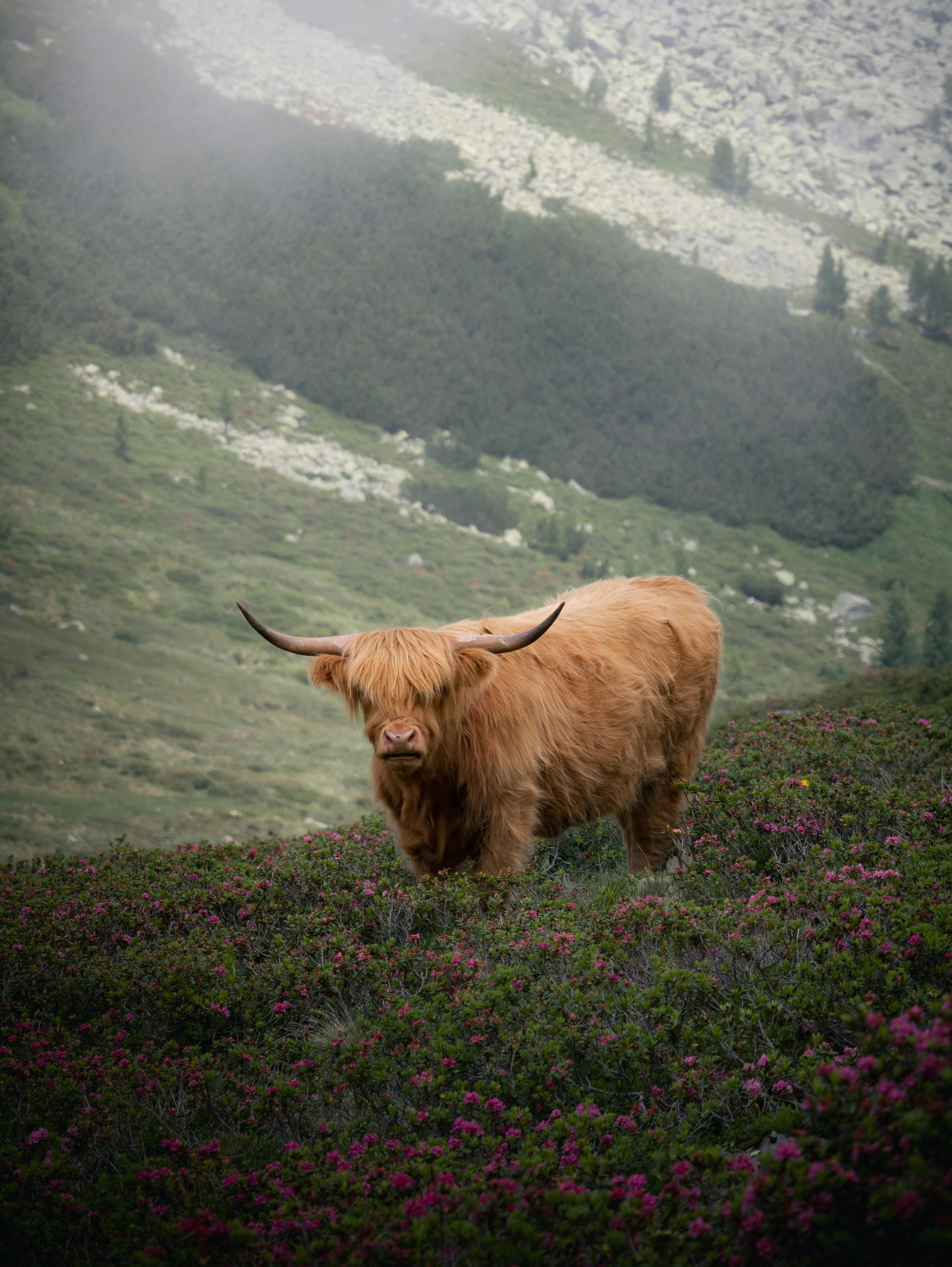 60.000+ ảnh đẹp nhất về Sarkari Naukri Hd Wallpaper · Tải xuống miễn ...