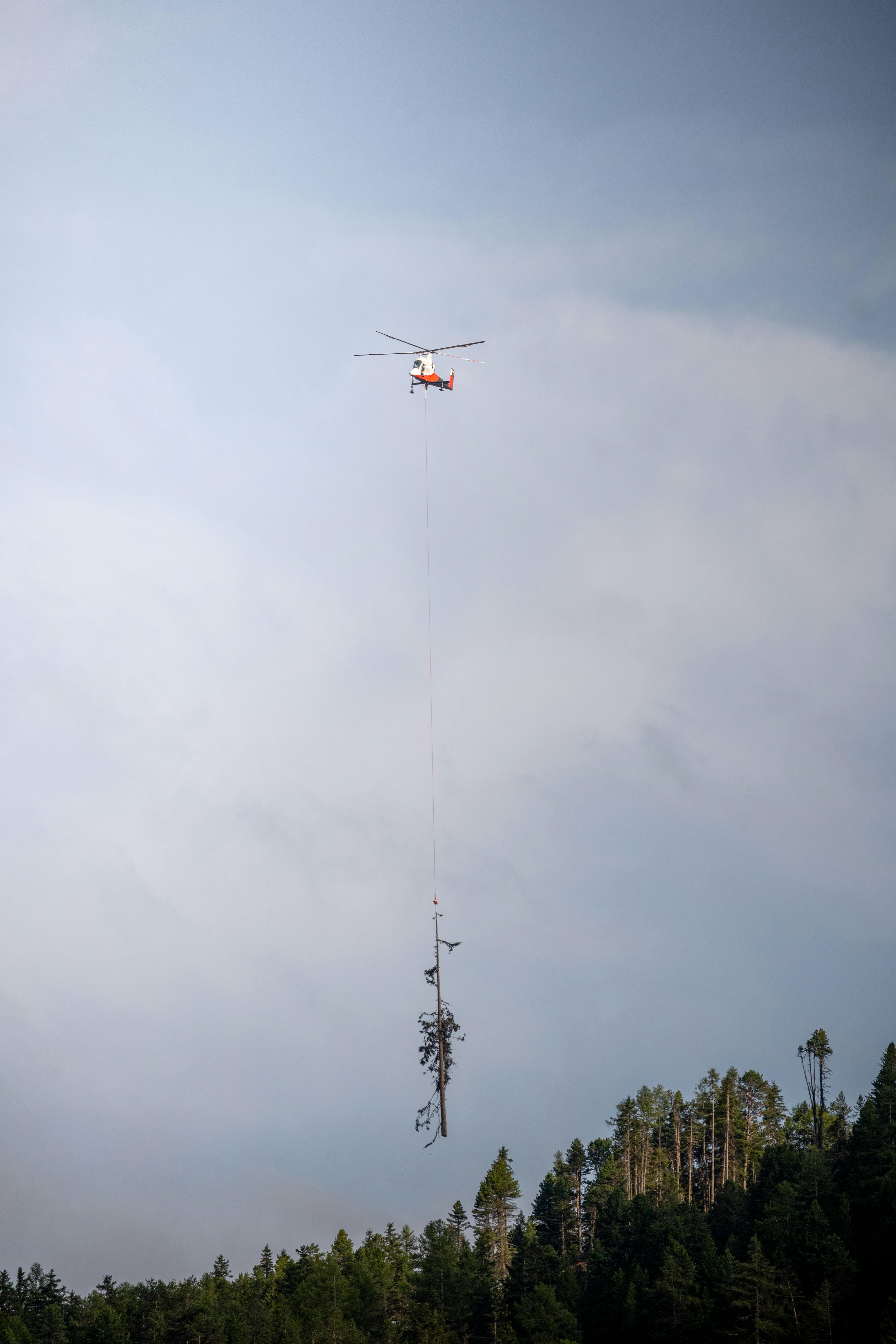 Helicopter Lifting Timber Over Tirol Forest · Free Stock Photo