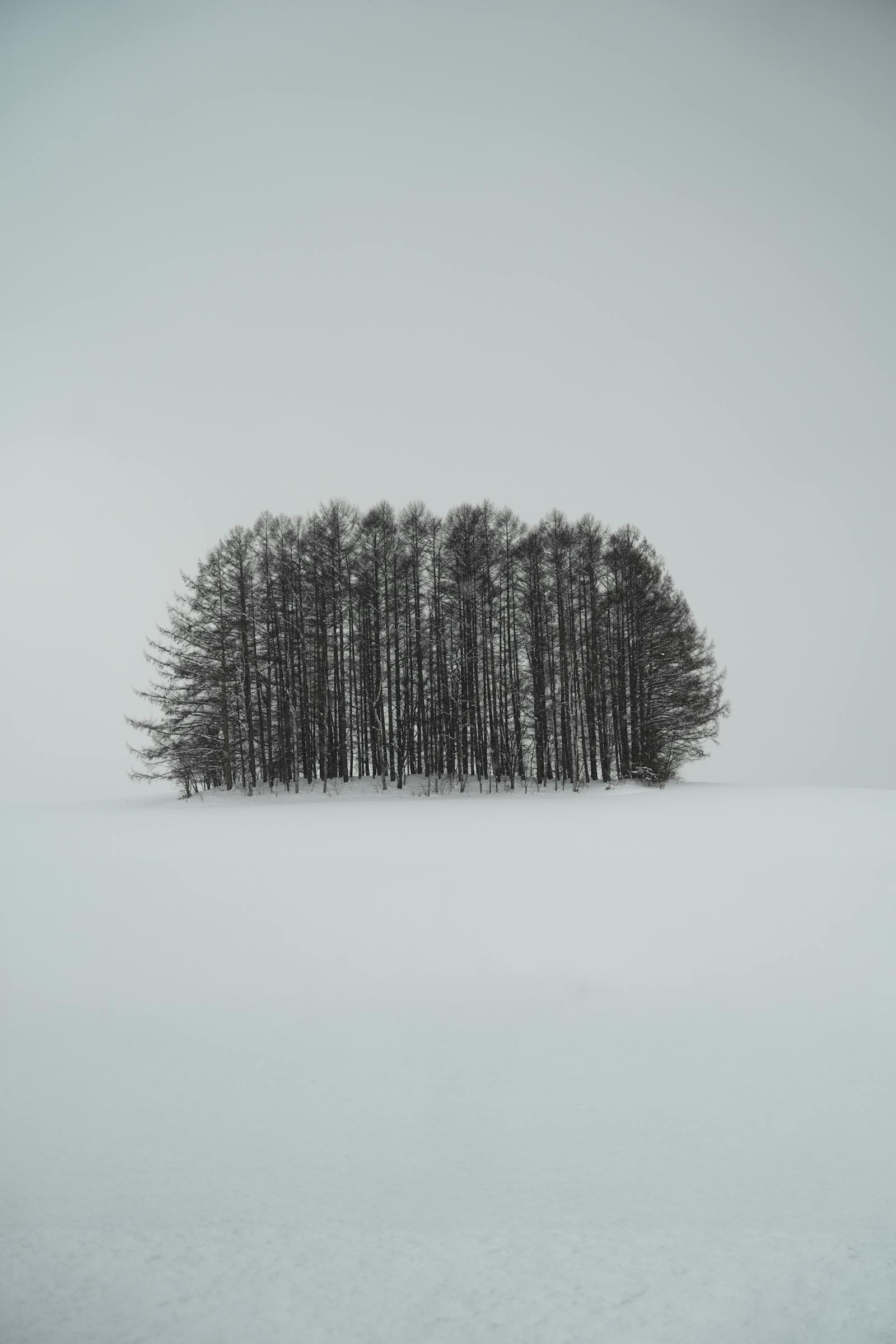 Simple Landscape Photos, Download The BEST Free Simple Landscape Stock ...