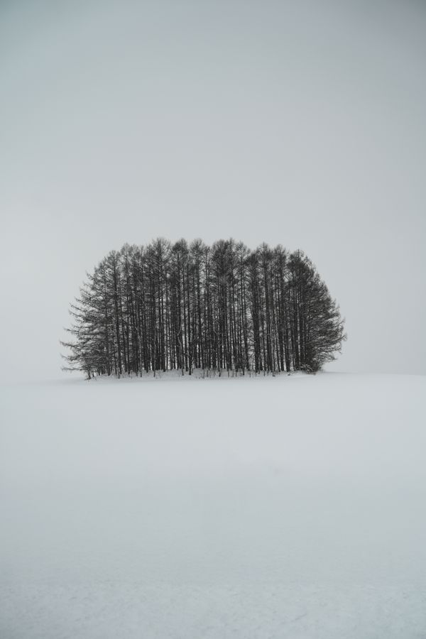 Simple Landscape Photos, Download The BEST Free Simple Landscape Stock ...
