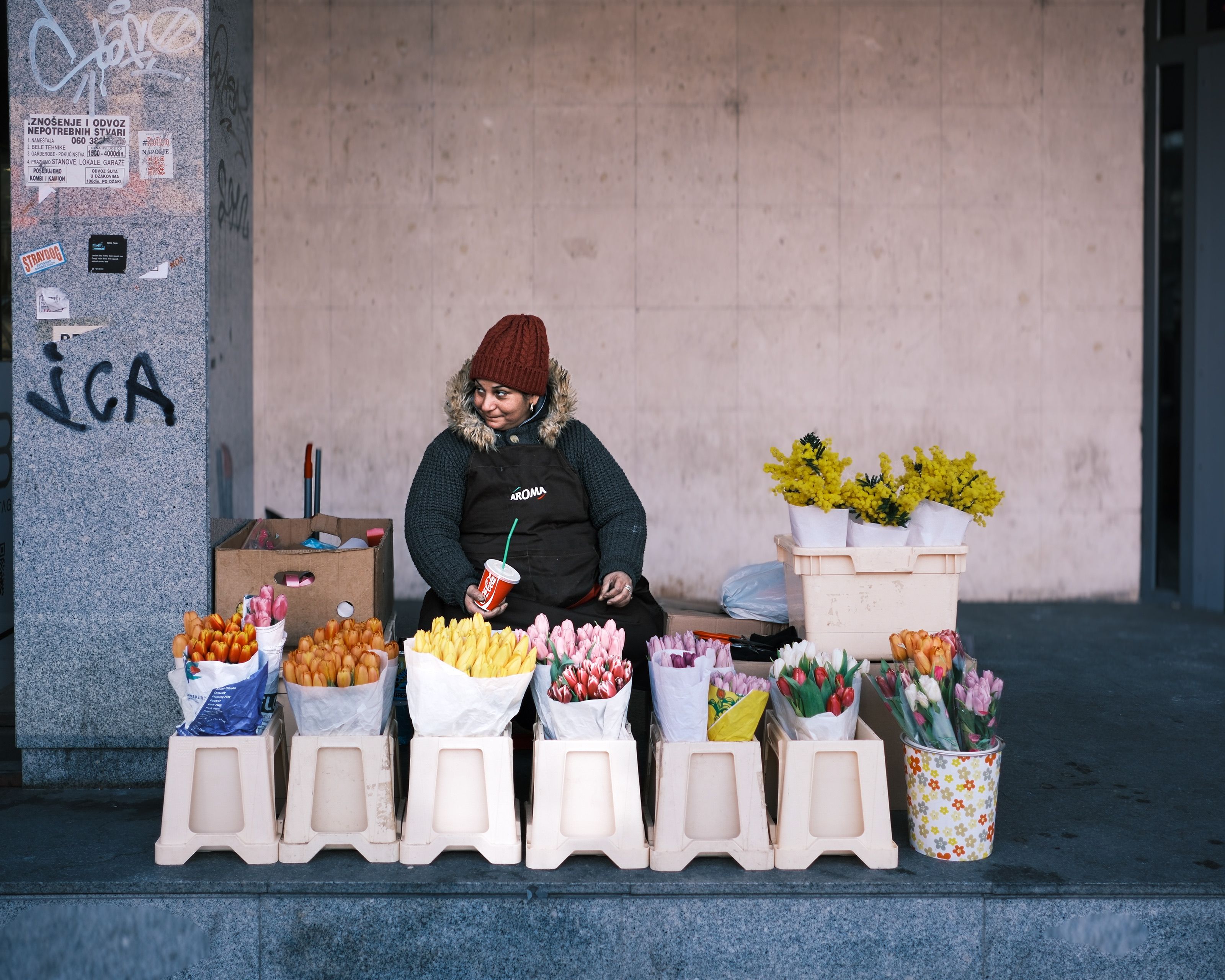 Street Flower Vendor with Vibrant Tulips Display · Free Stock Photo