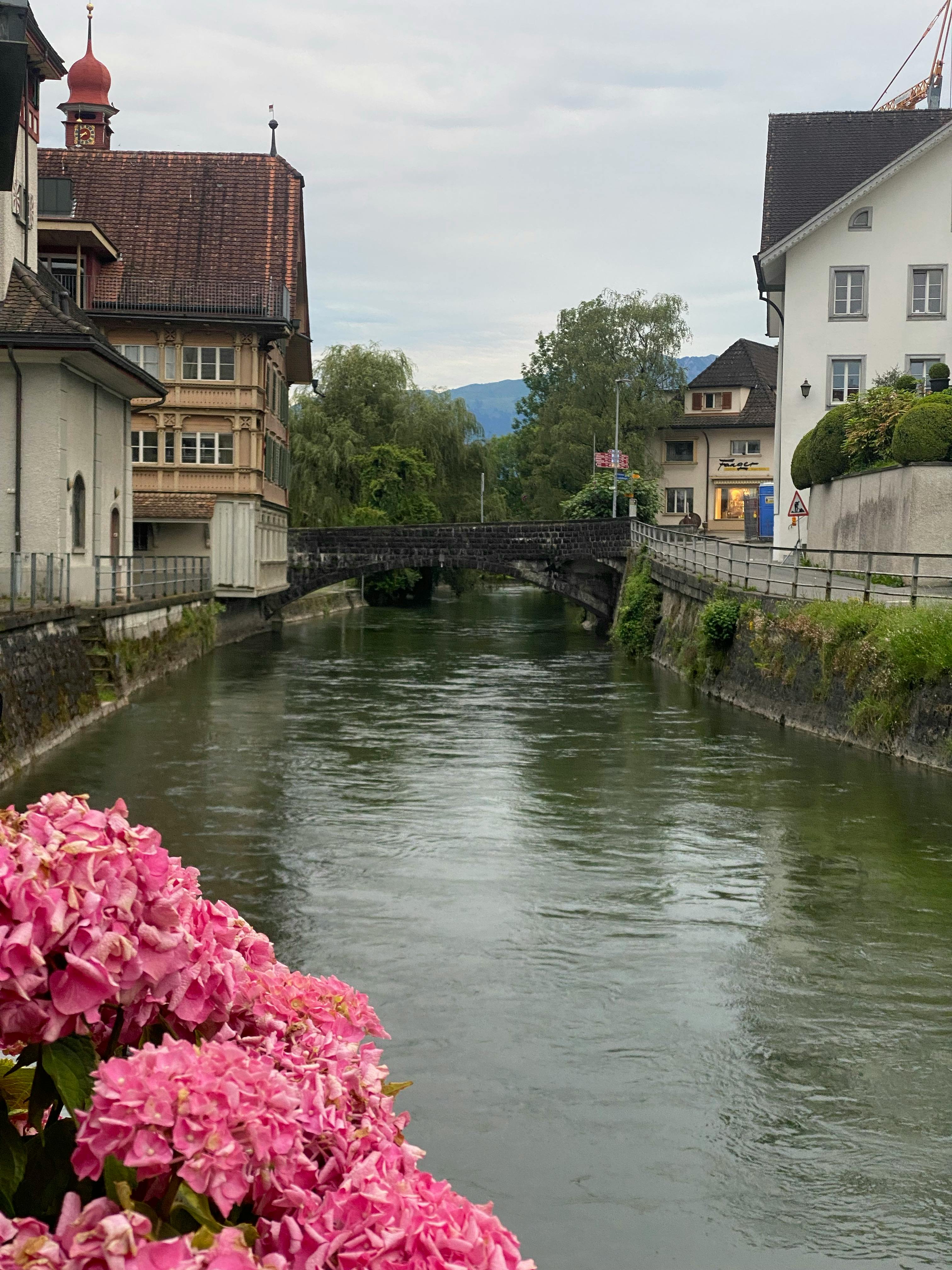 Ows Photos, Download The BEST Free Ows Stock Photos & HD Images