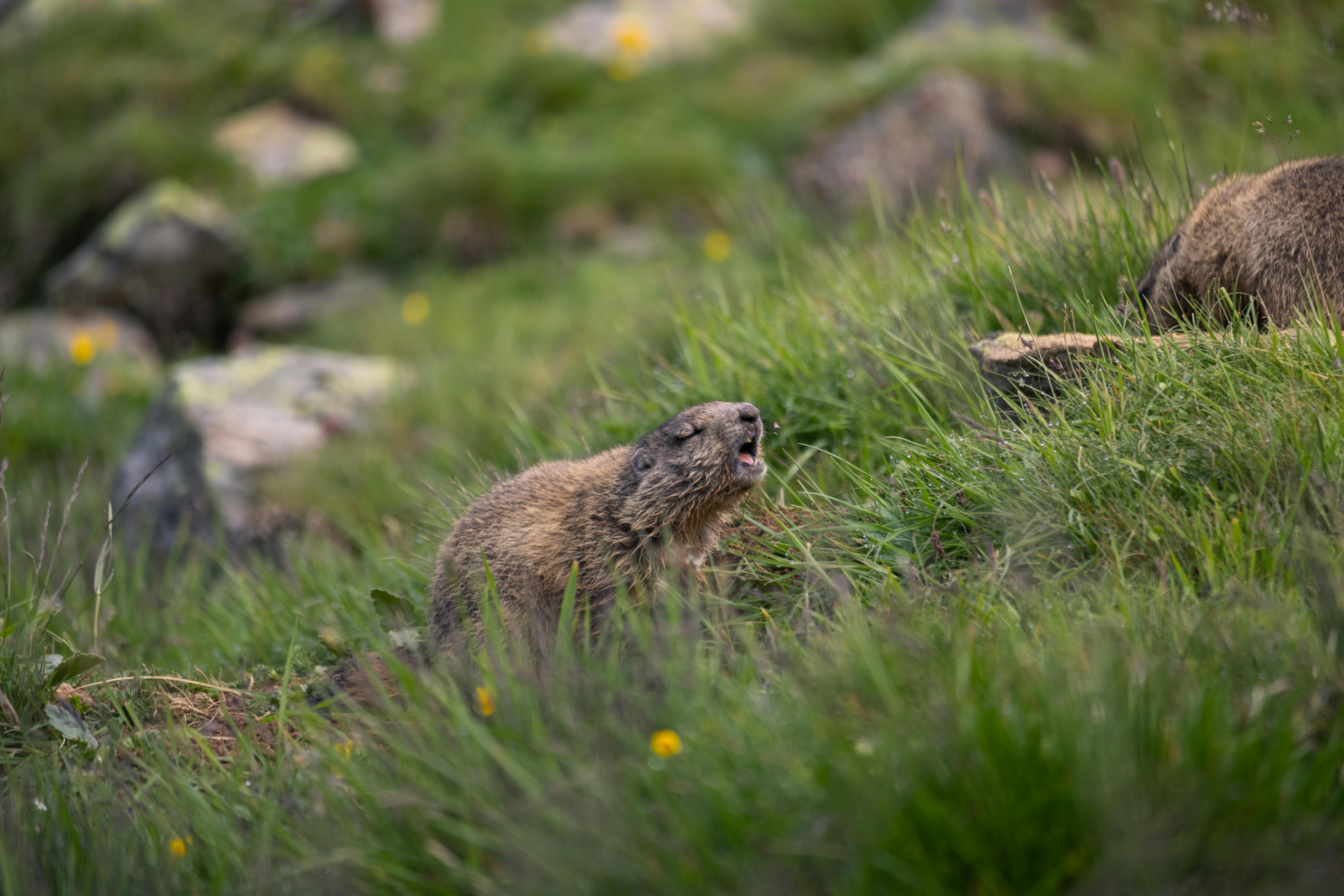 Anime Hacker 4k Wallpaper Photos, Download The BEST Free Anime Hacker ...