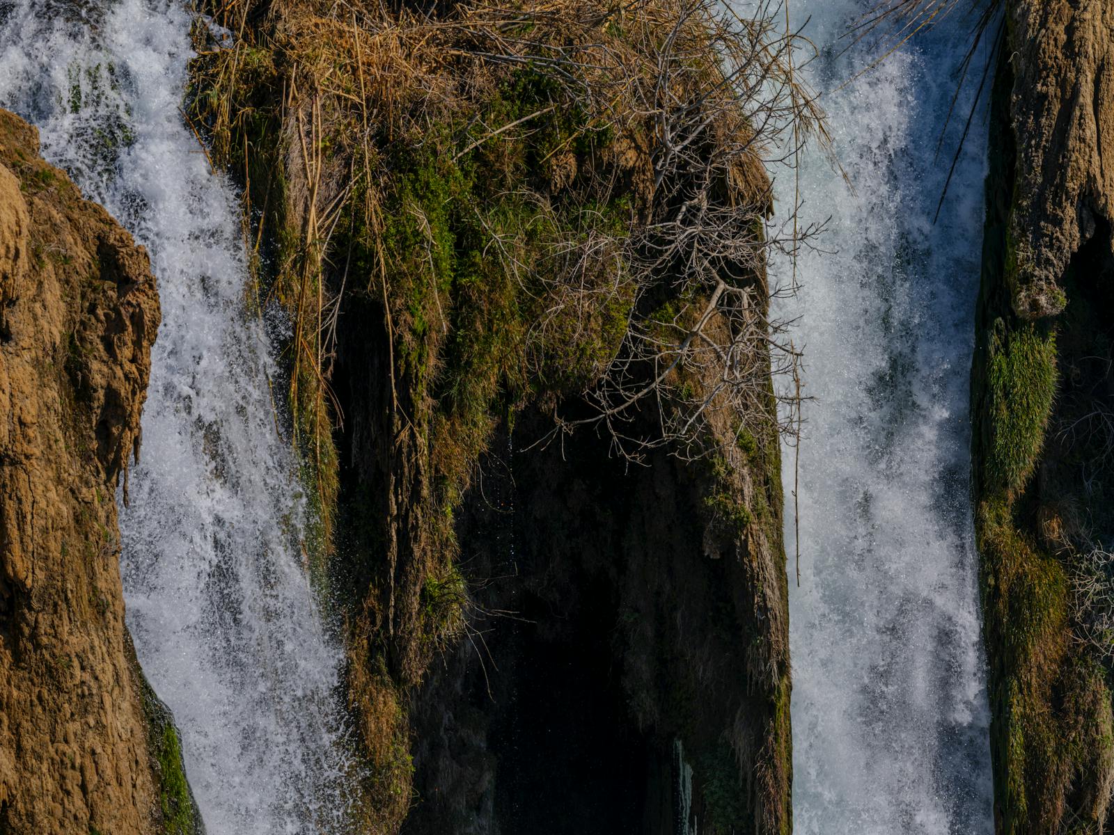 Free+Tuff+Pfp Photos, Download The BEST Free Free+Tuff+Pfp Stock Photos ...