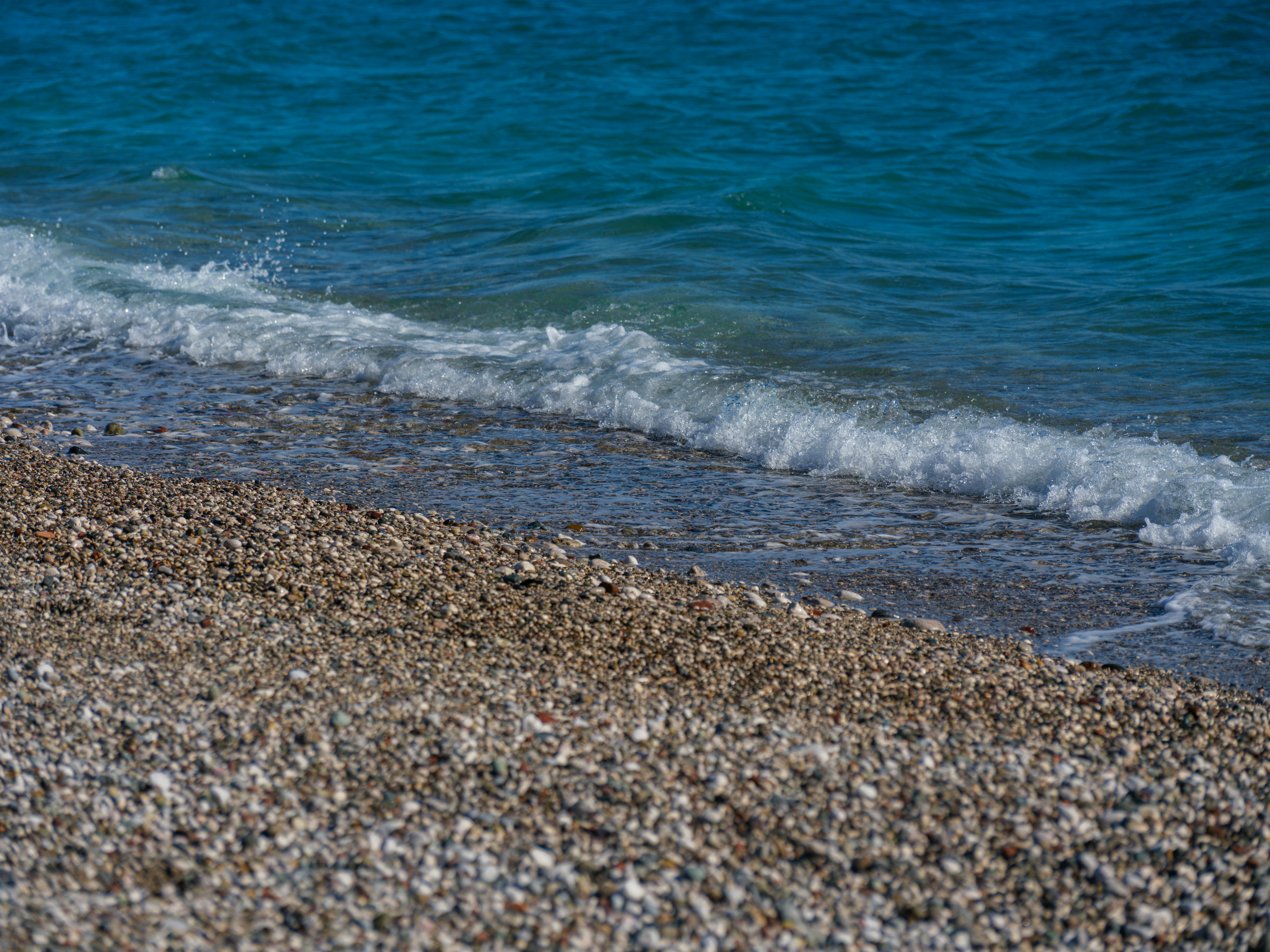 Serene Pebble Beach with Gentle Waves · Free Stock Photo