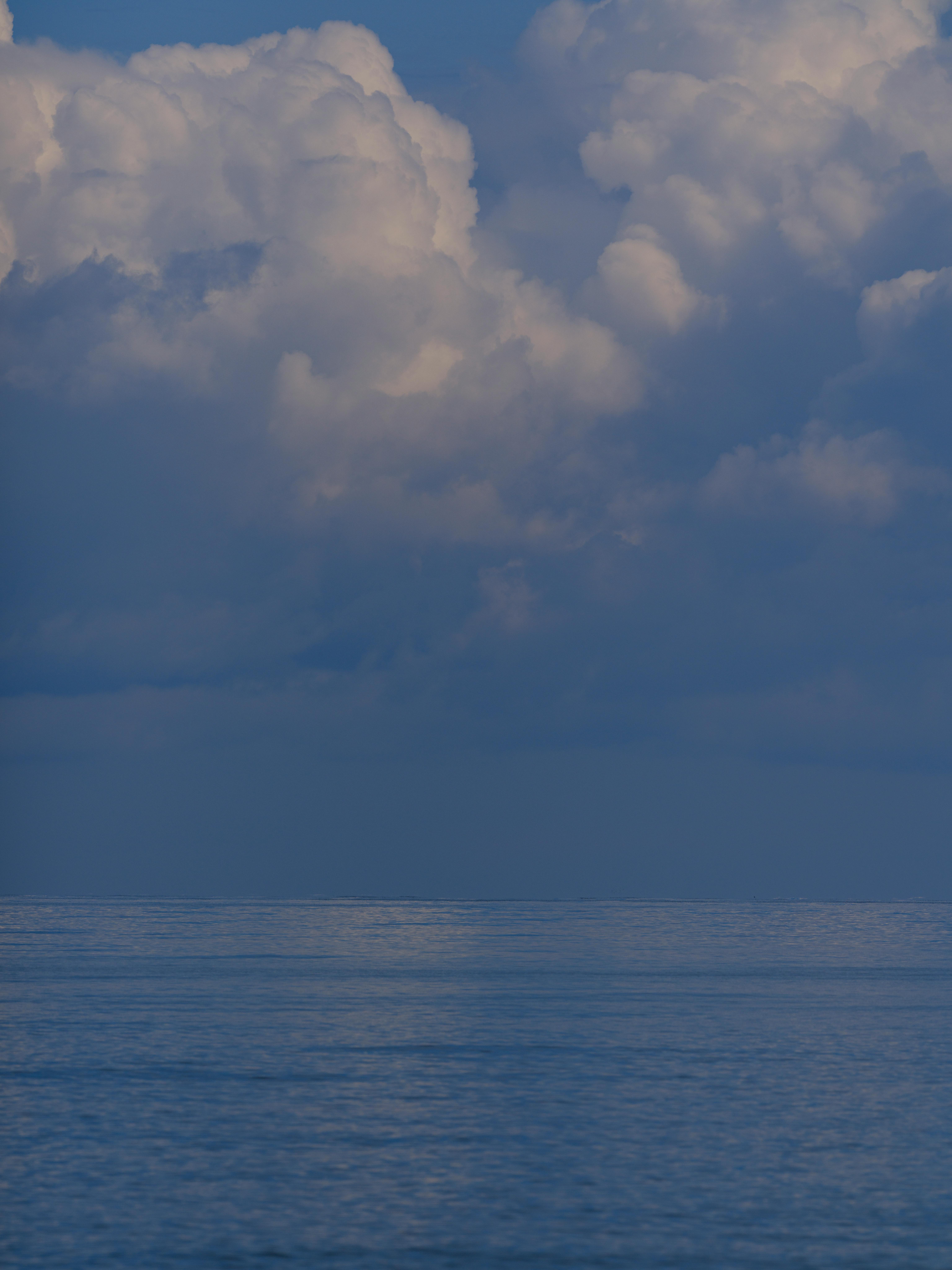 Pixa Bay Photos, Download The BEST Free Pixa Bay Stock Photos & HD Images