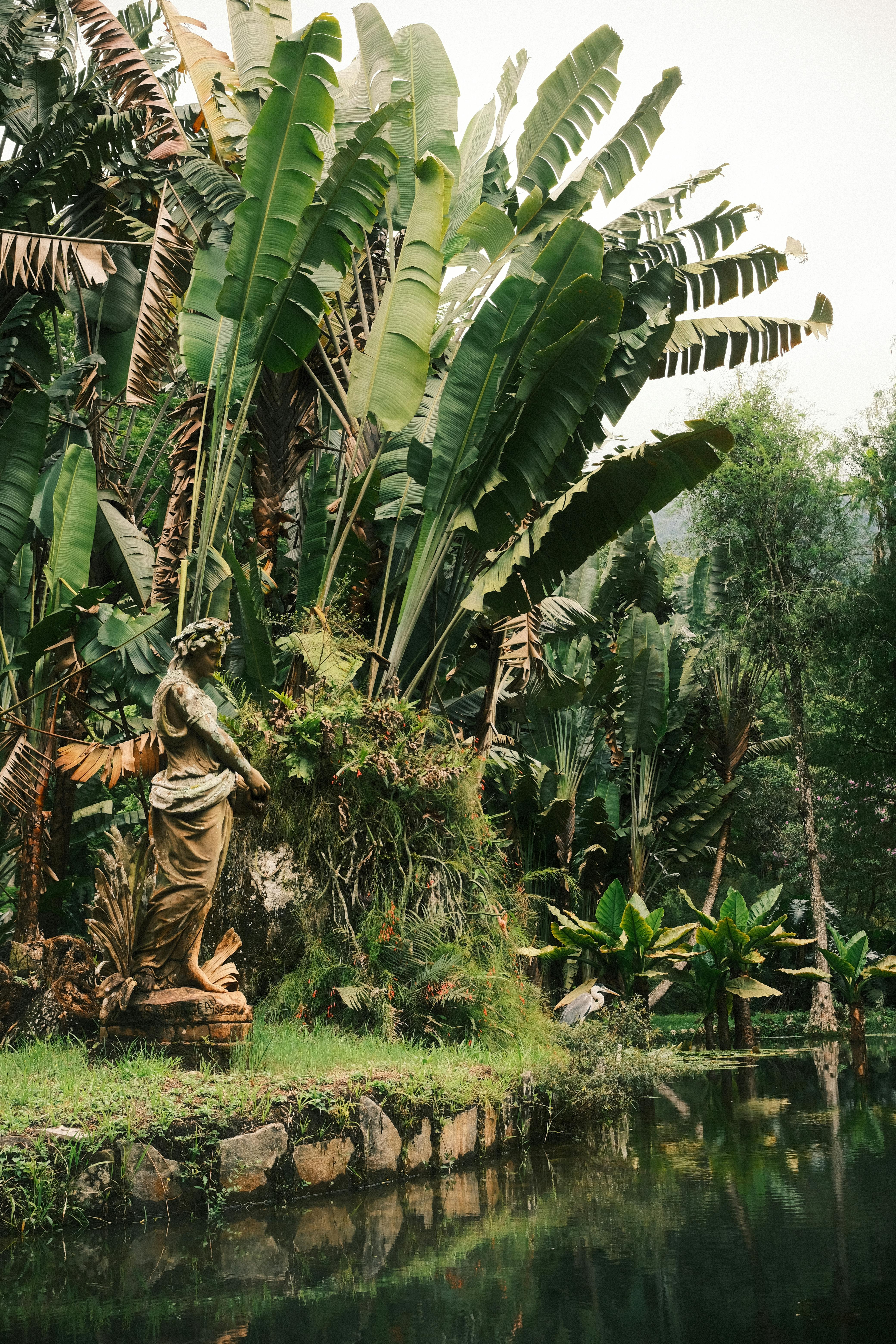 Bhutiya Jungle Photos, Download The BEST Free Bhutiya Jungle Stock ...