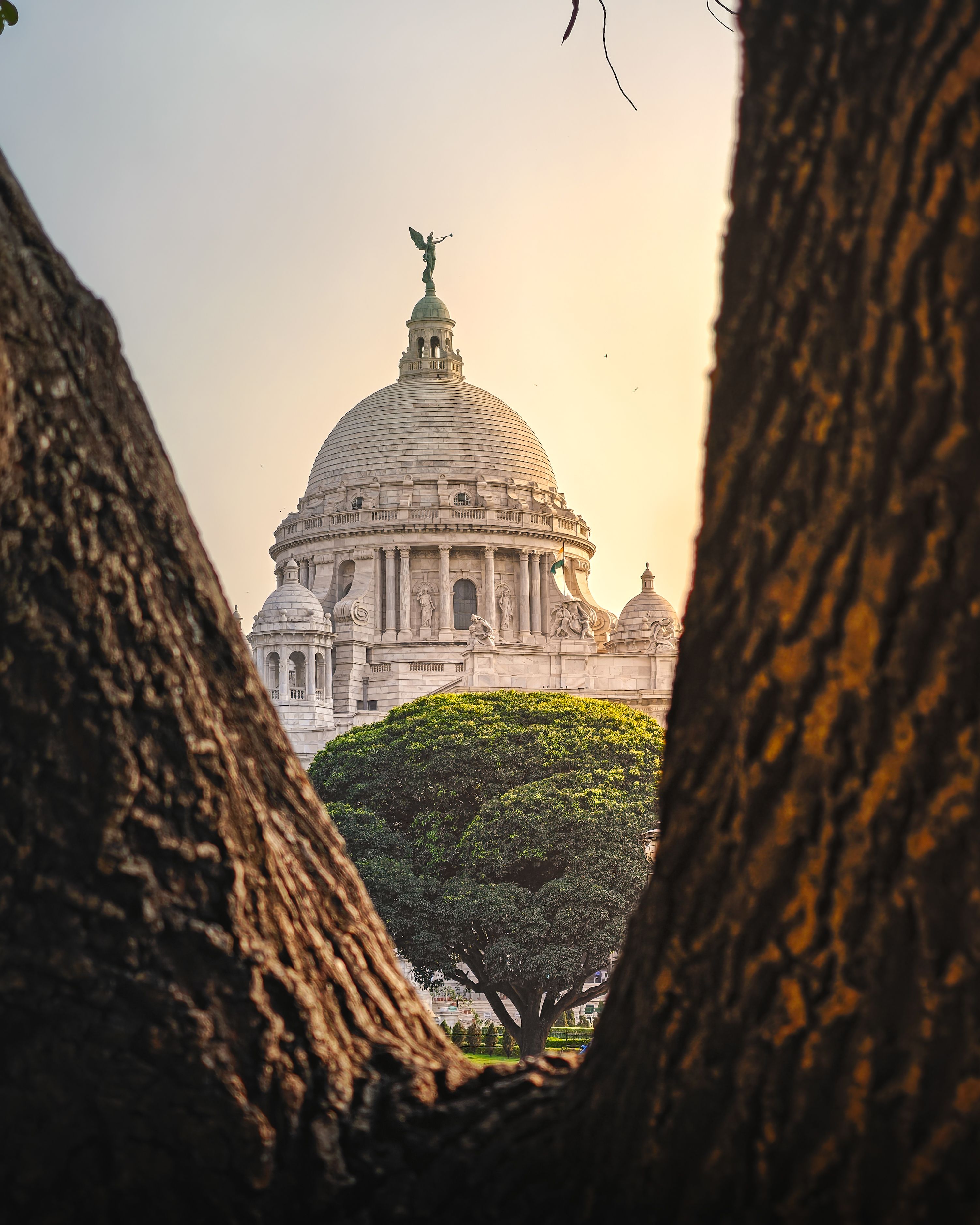 Victoria Memorial Framed by Trees at Sunset · Free Stock Photo