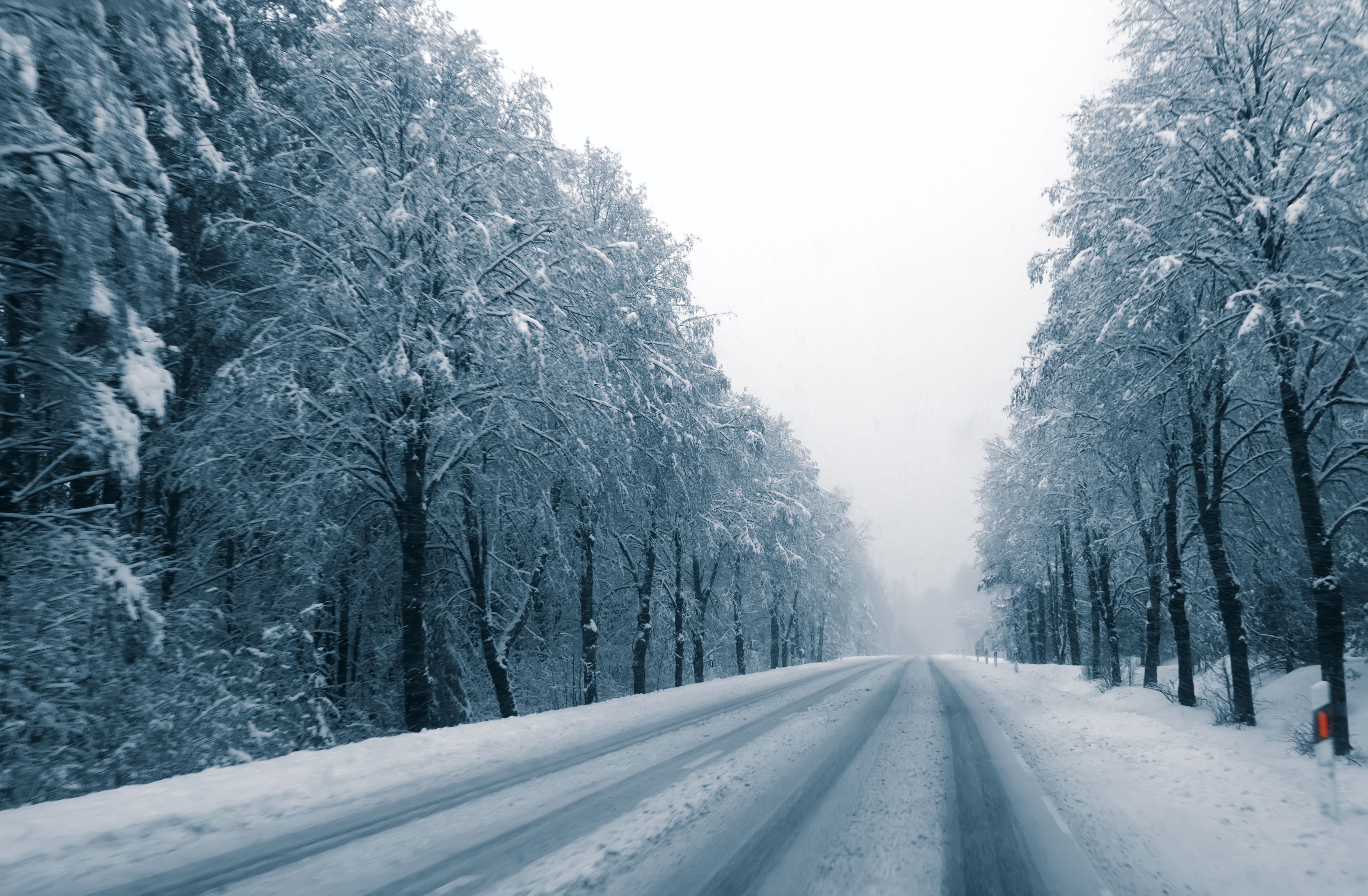 Winter Road Through Snowy Forest · Free Stock Photo