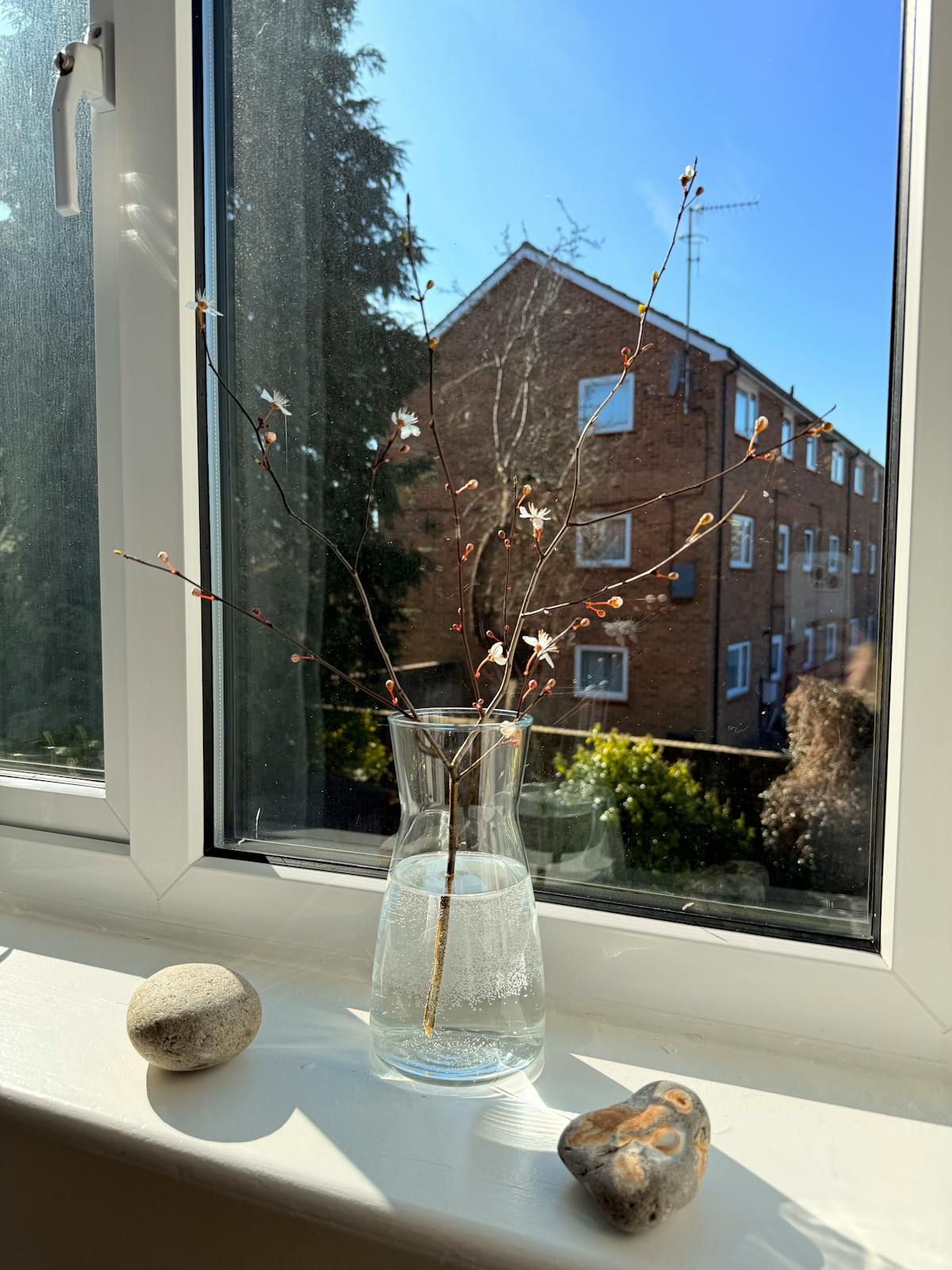 House Window Photos, Download The BEST Free House Window Stock Photos ...