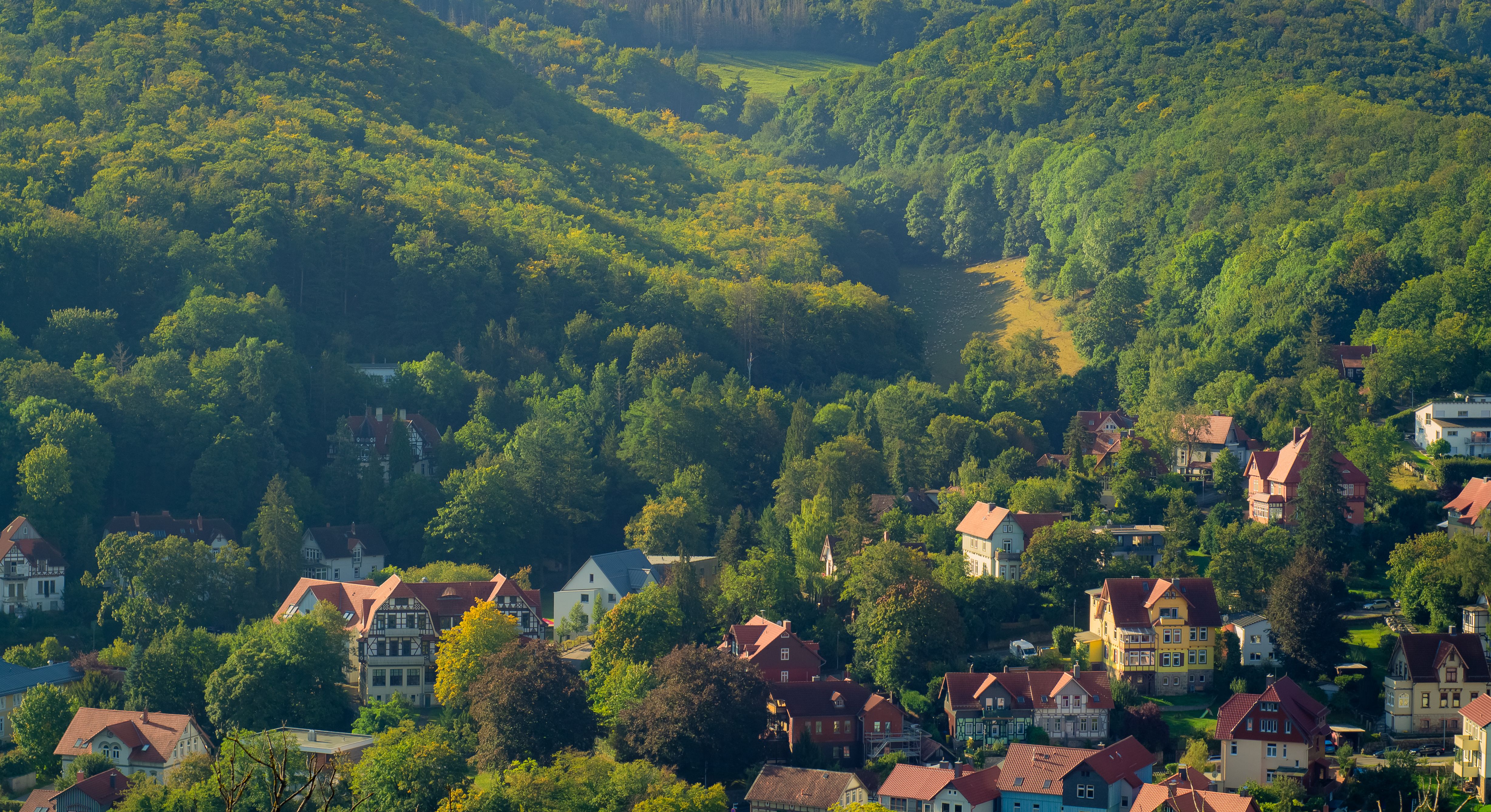 Scenic View of a Lush Green Valley Town · Free Stock Photo