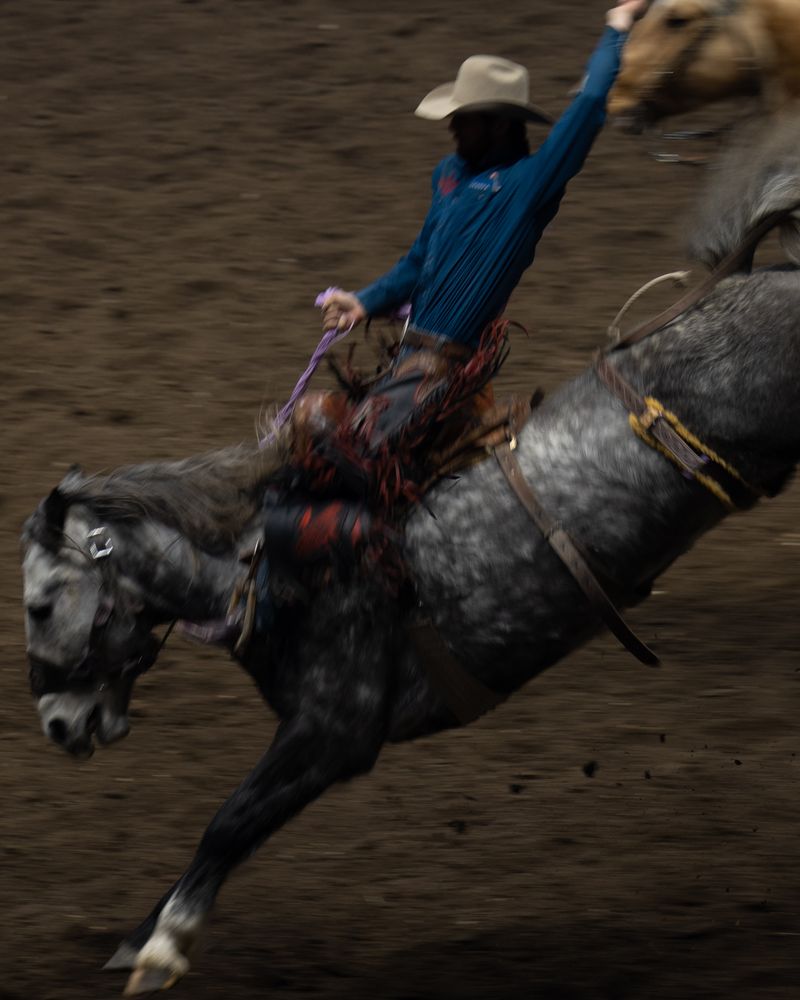 Cowboy Hat Photos, Download The BEST Free Cowboy Hat Stock Photos & HD ...