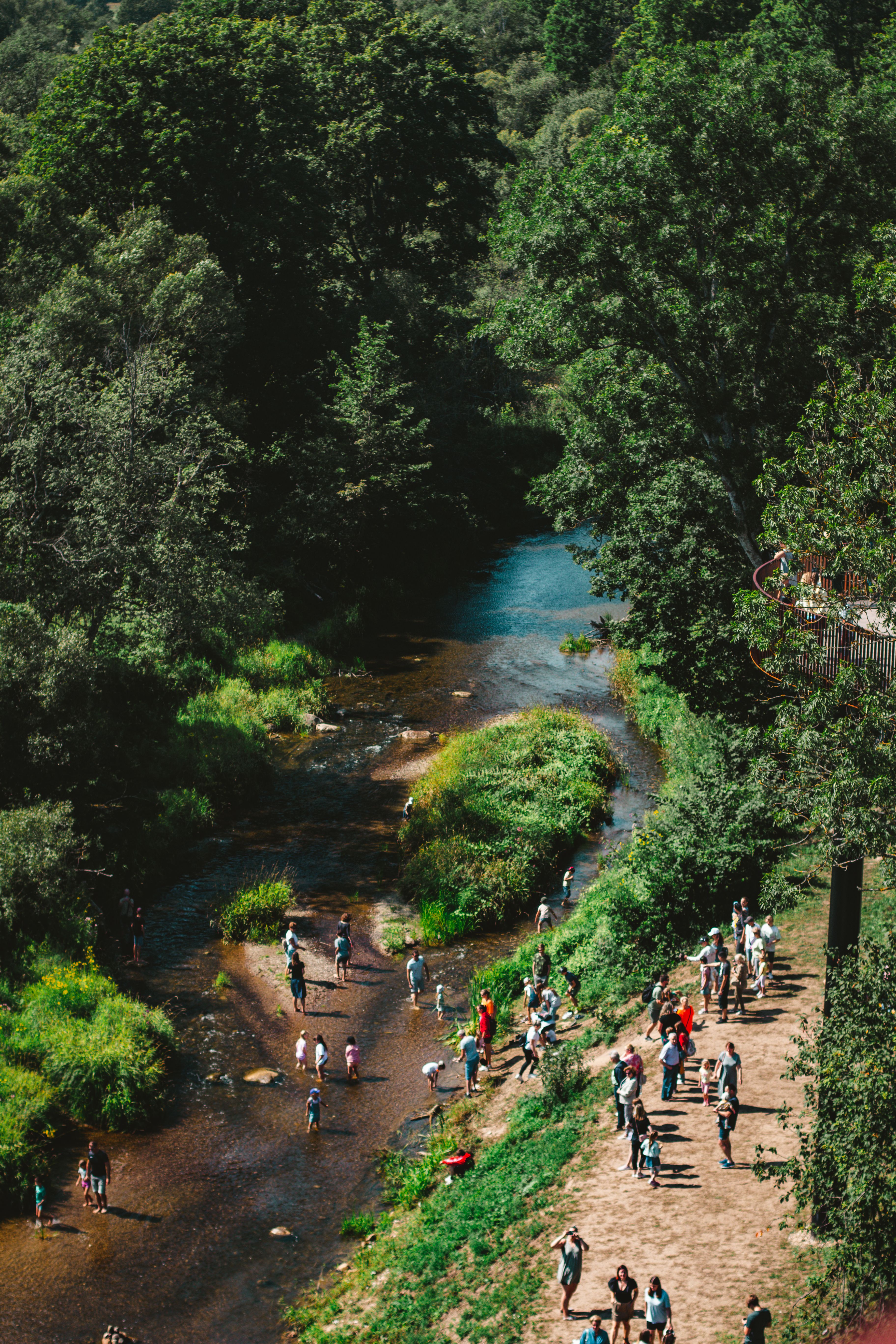 Nature Park with Walking Trail and Scenic River View · Free Stock Photo
