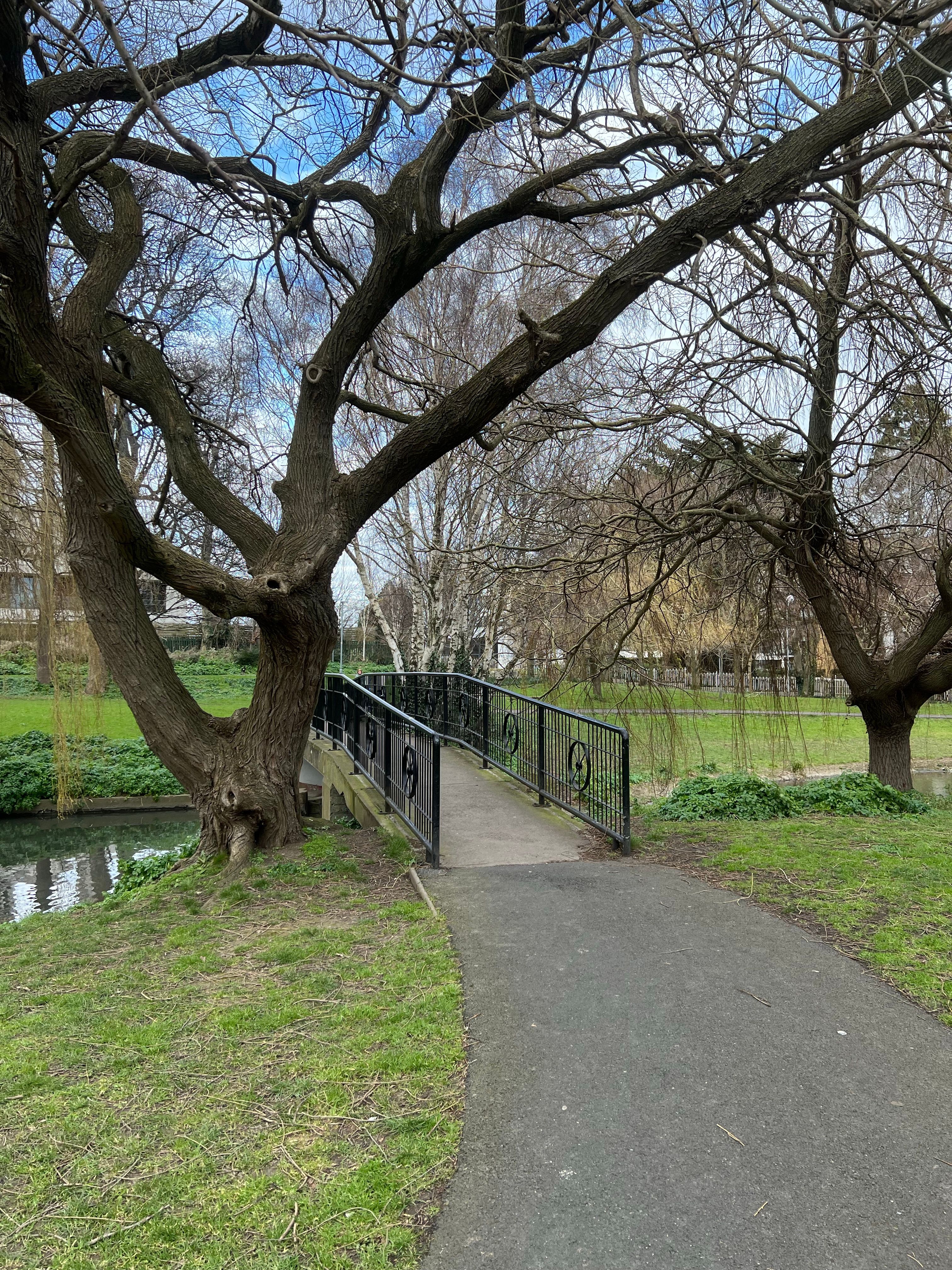 Serene Pathway and Bridge in Winter Park · Free Stock Photo
