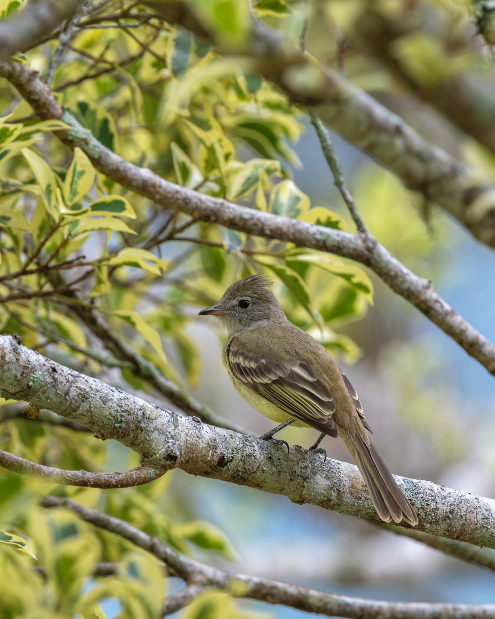 Costa Rica Photos, Download The BEST Free Costa Rica Stock Photos & HD ...