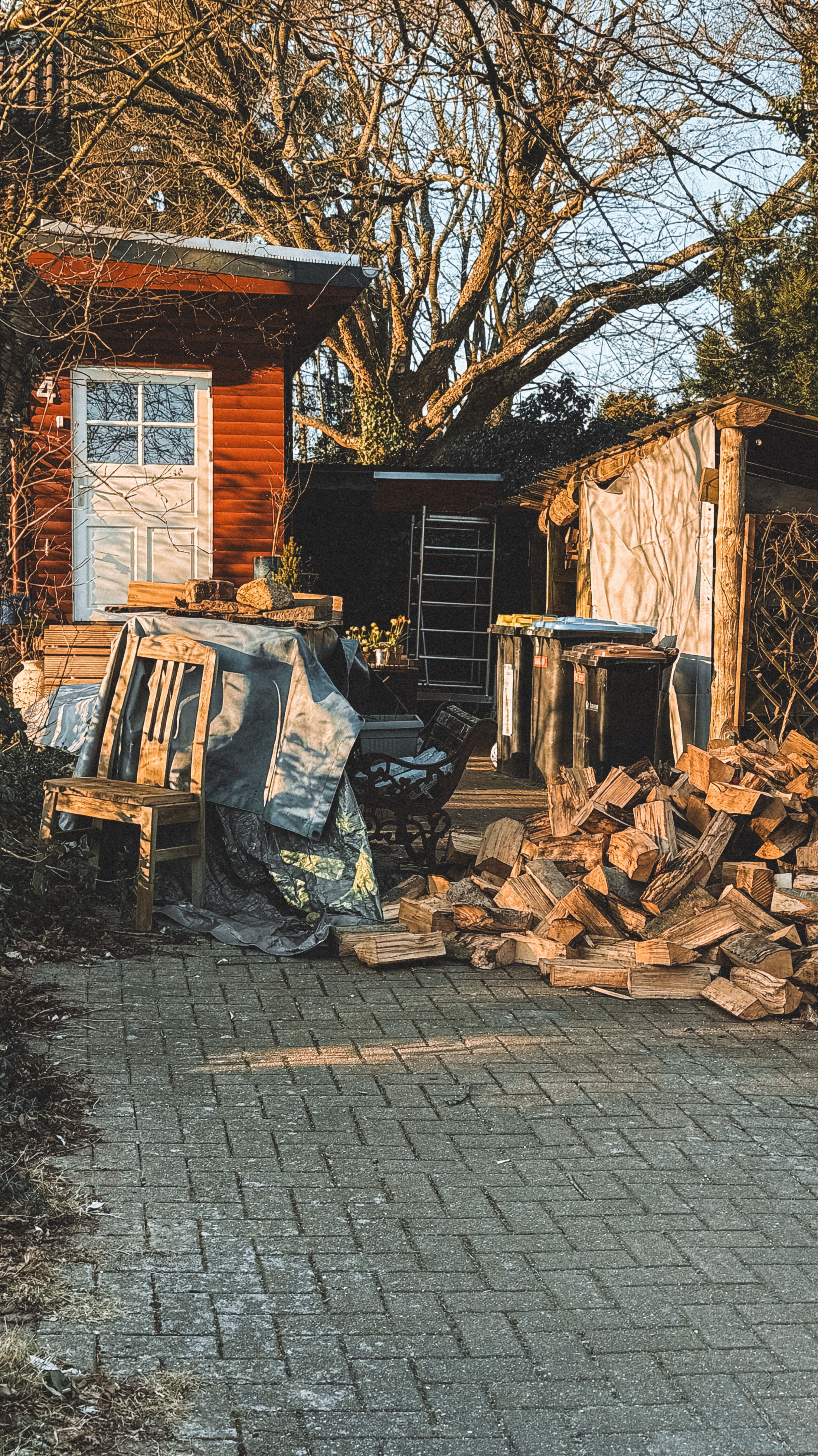 Rustic backyard scene with firewood and shed · Free Stock Photo