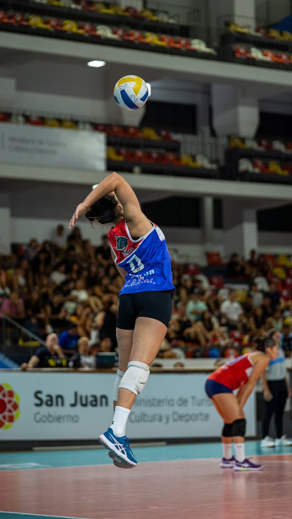 Volleyball Animation Photos, Download The BEST Free Volleyball ...