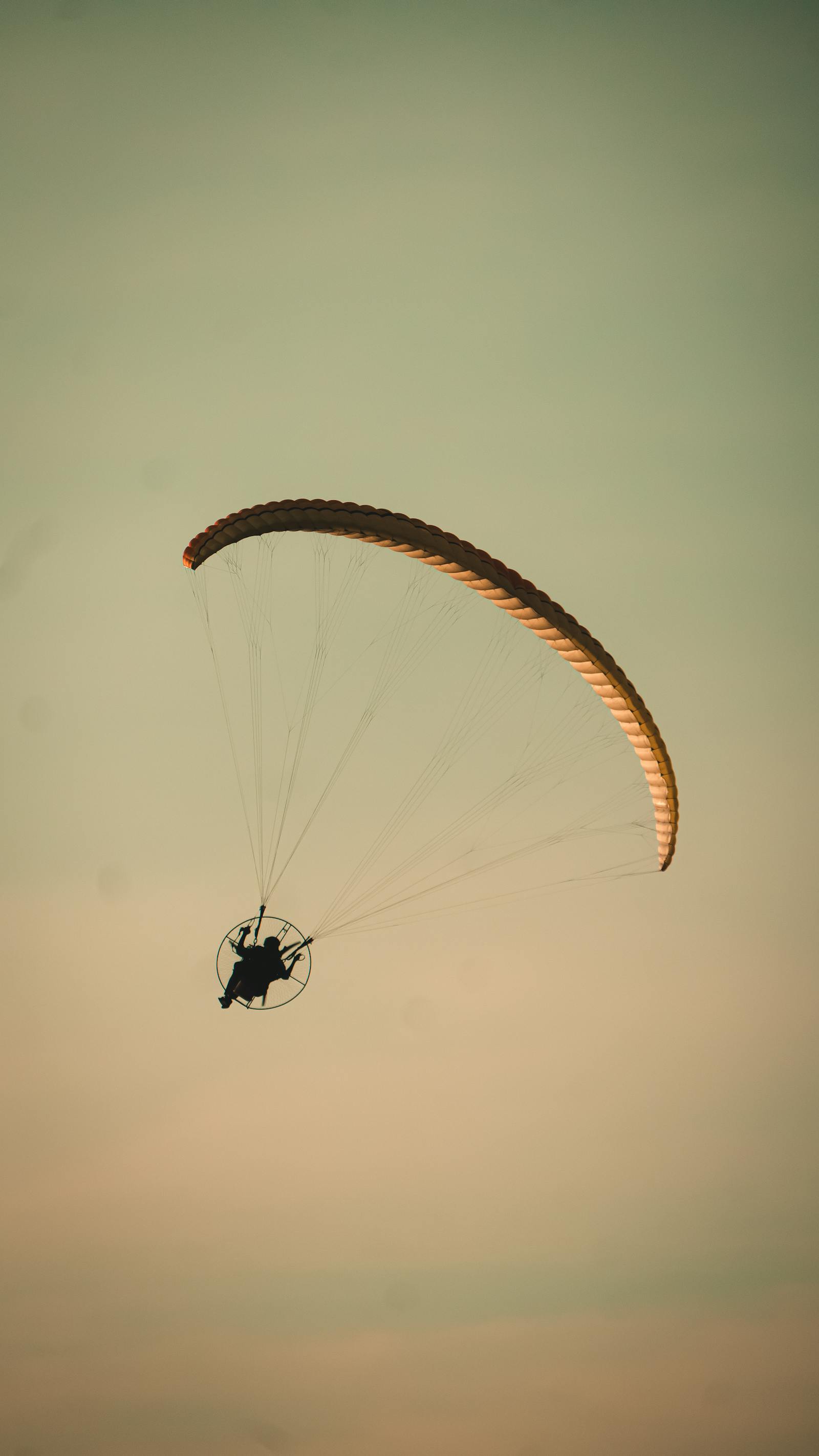 Free+Tuff+Pfp Photos, Download The BEST Free Free+Tuff+Pfp Stock Photos ...