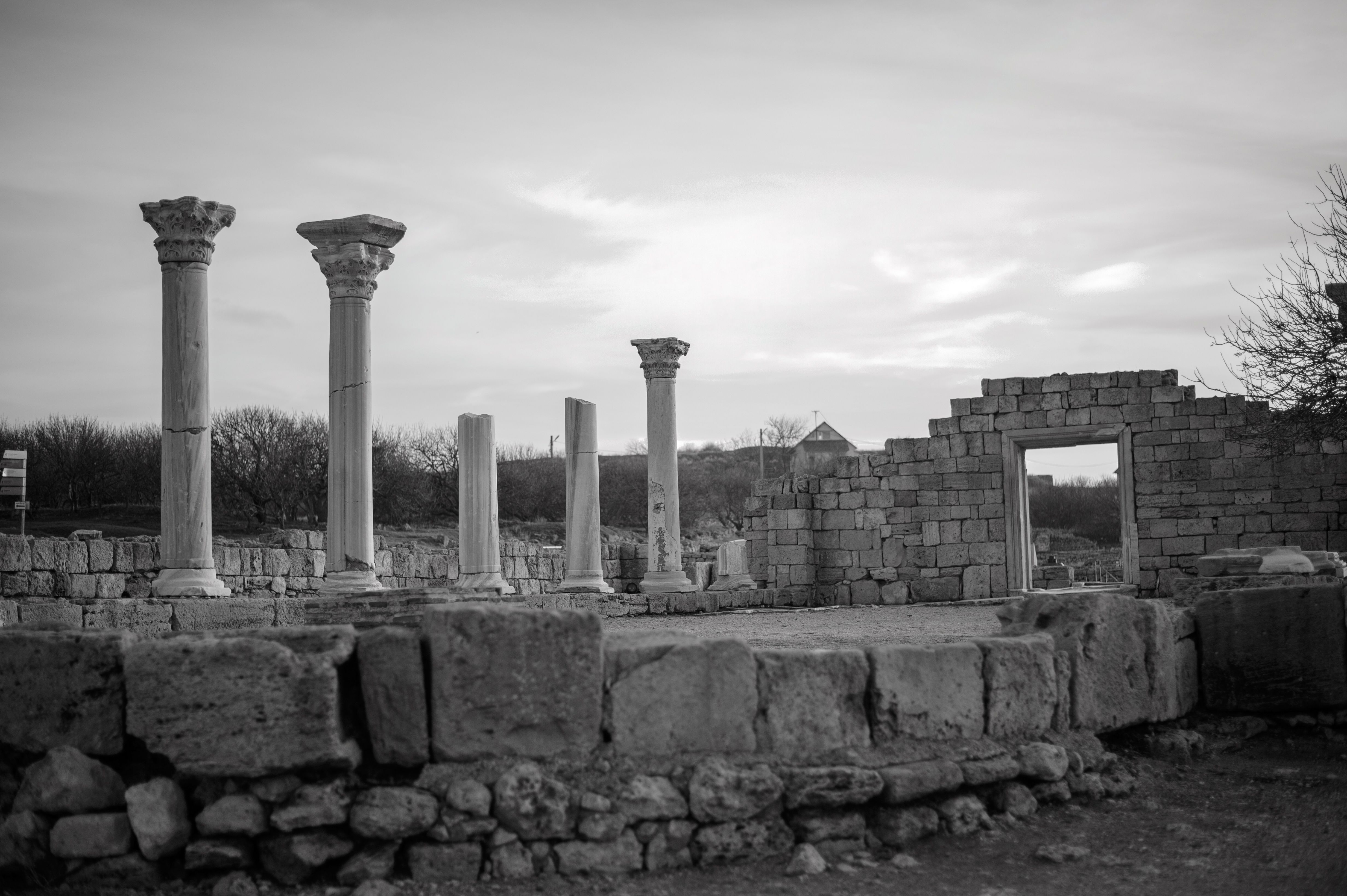 Black and White Ancient Ruins Landscape · Free Stock Photo