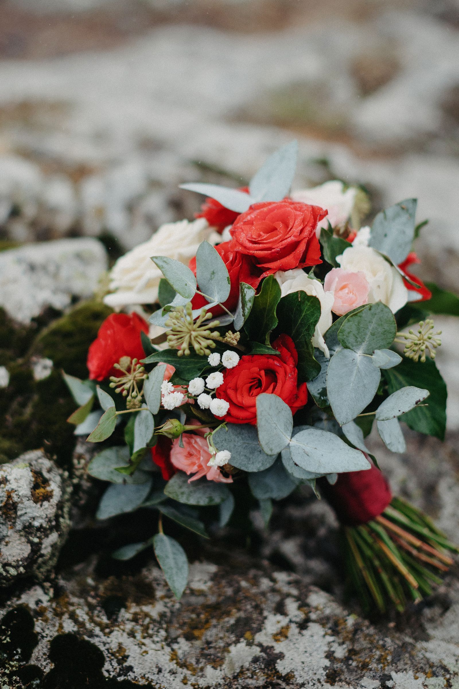 White Roses Photos, Download The BEST Free White Roses Stock Photos ...