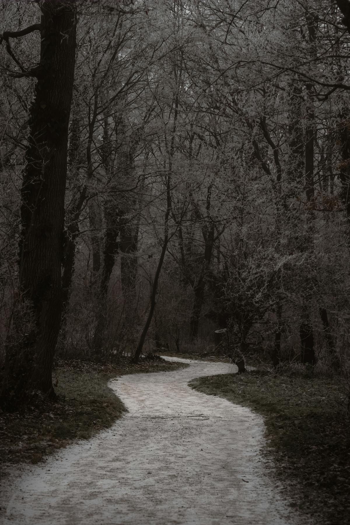 4k Wallpaper Dark For Pc Lock Screen Photos, Download The BEST Free 4k ...