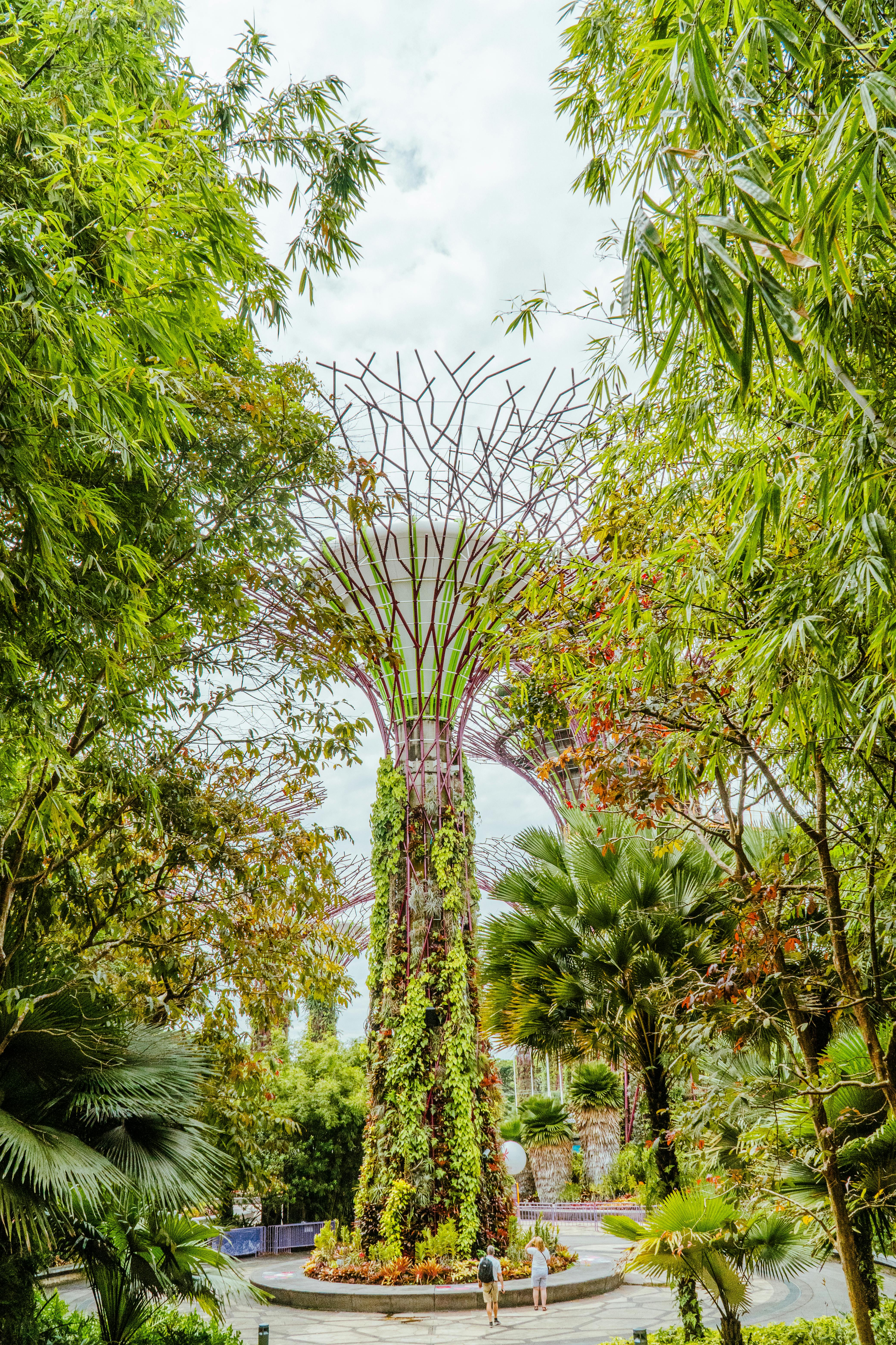 Lush Gardens Featuring Iconic Supertree Structure · Free Stock Photo