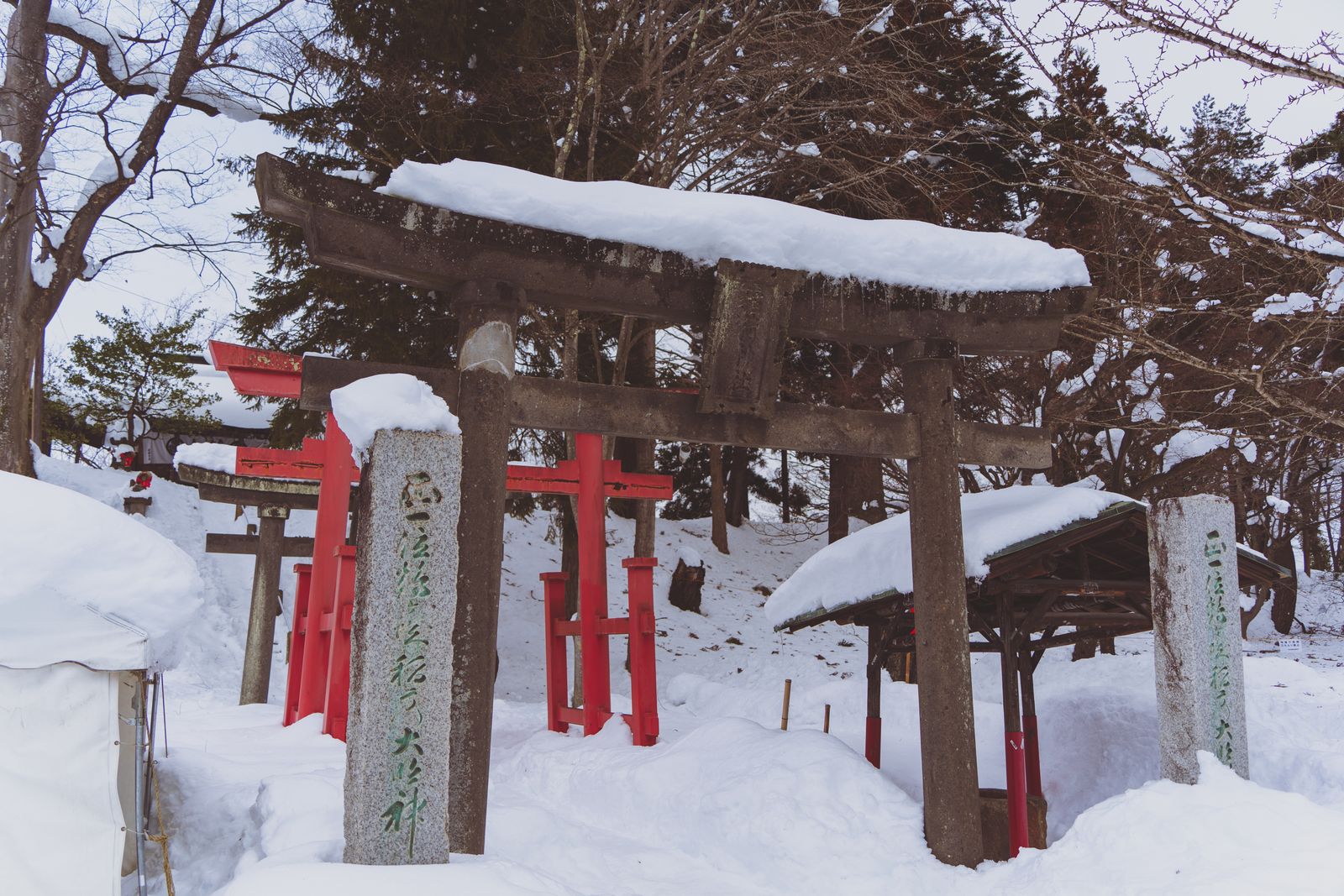 Torii Gate White Photos, Download The BEST Free Torii Gate White Stock ...