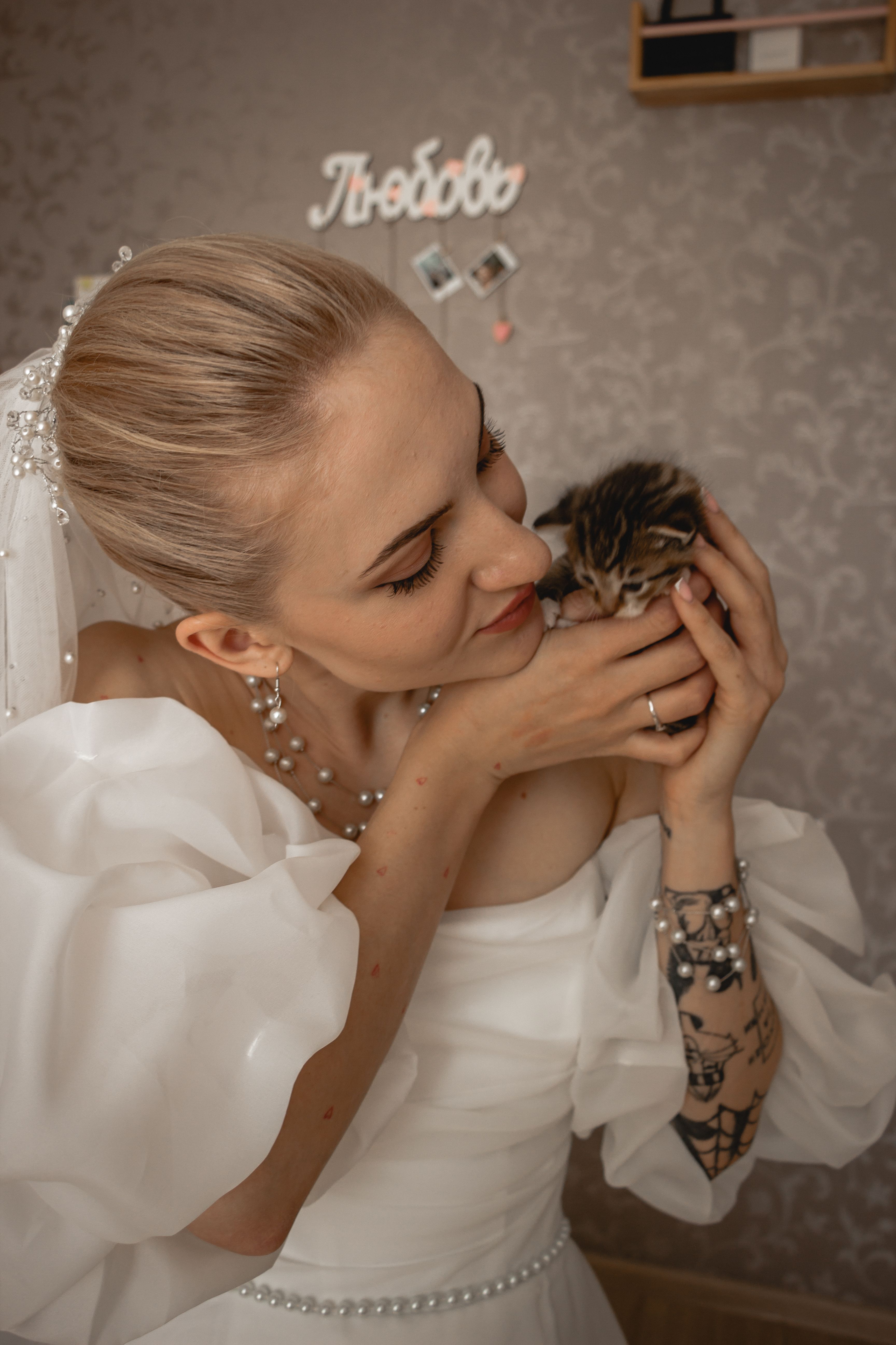 Bride in Elegant Dress Adoring Cute Kitten · Free Stock Photo