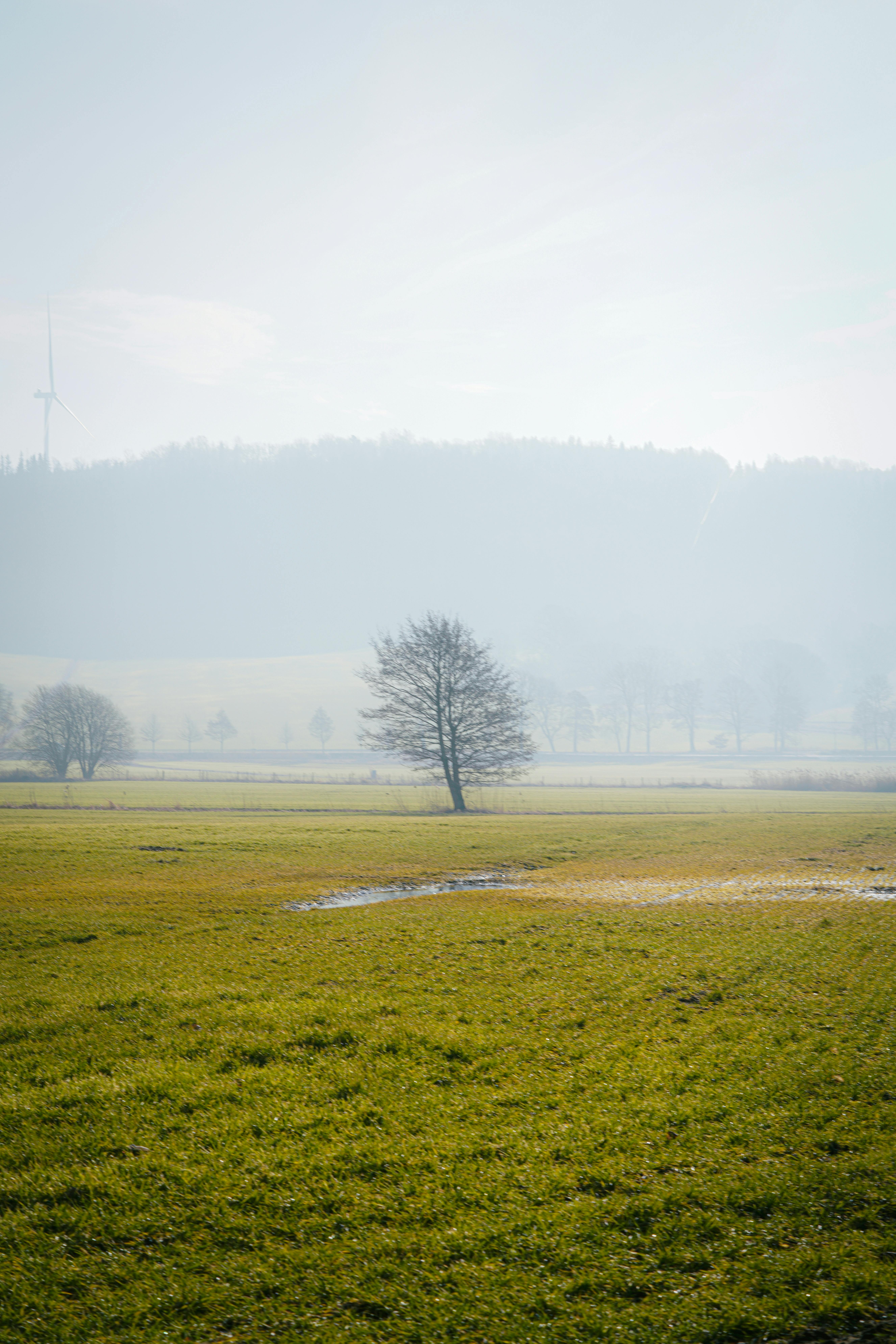 Weather Background Photos, Download The BEST Free Weather Background ...