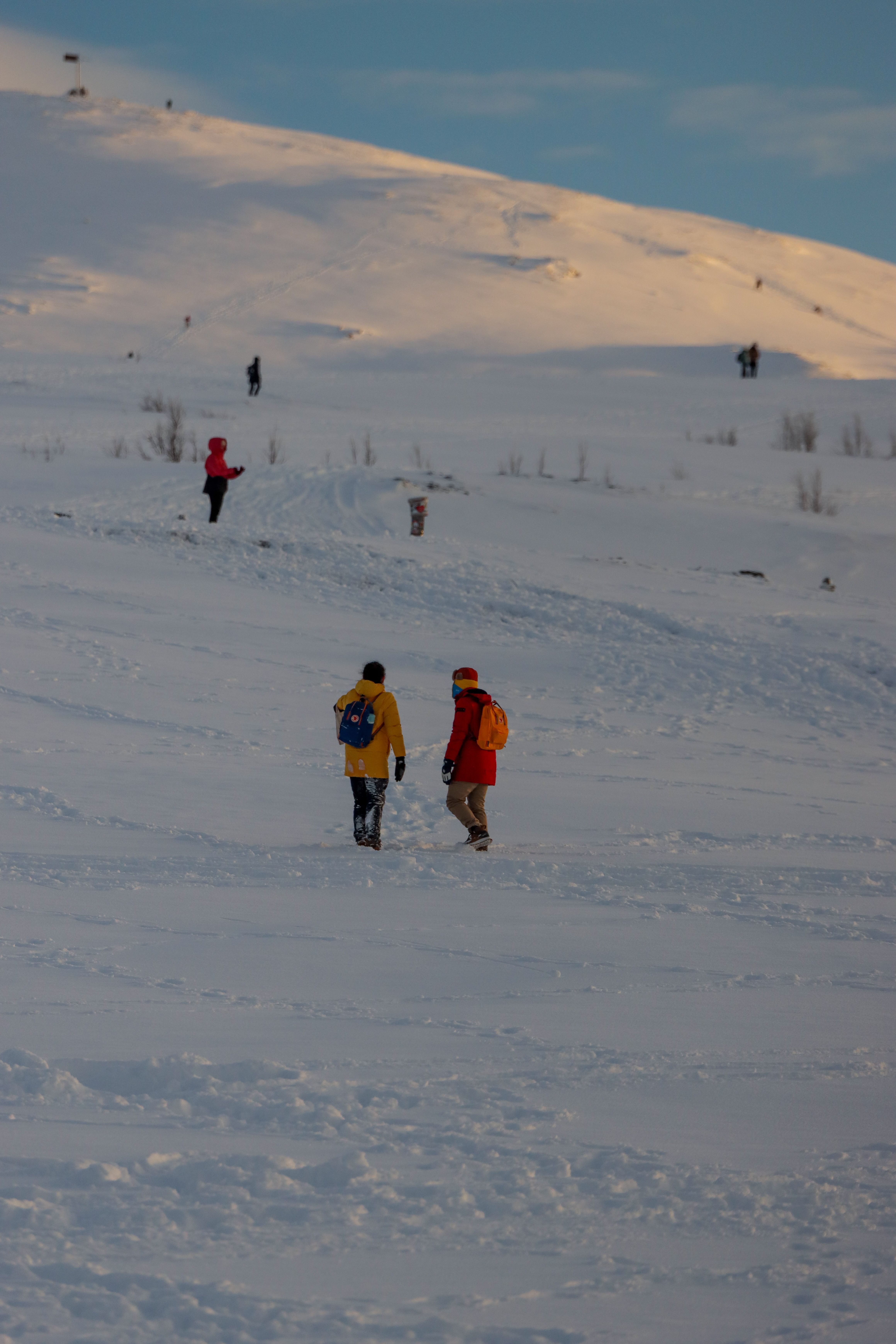 Winter Hiking in Tromsø Snowy Landscape · Free Stock Photo
