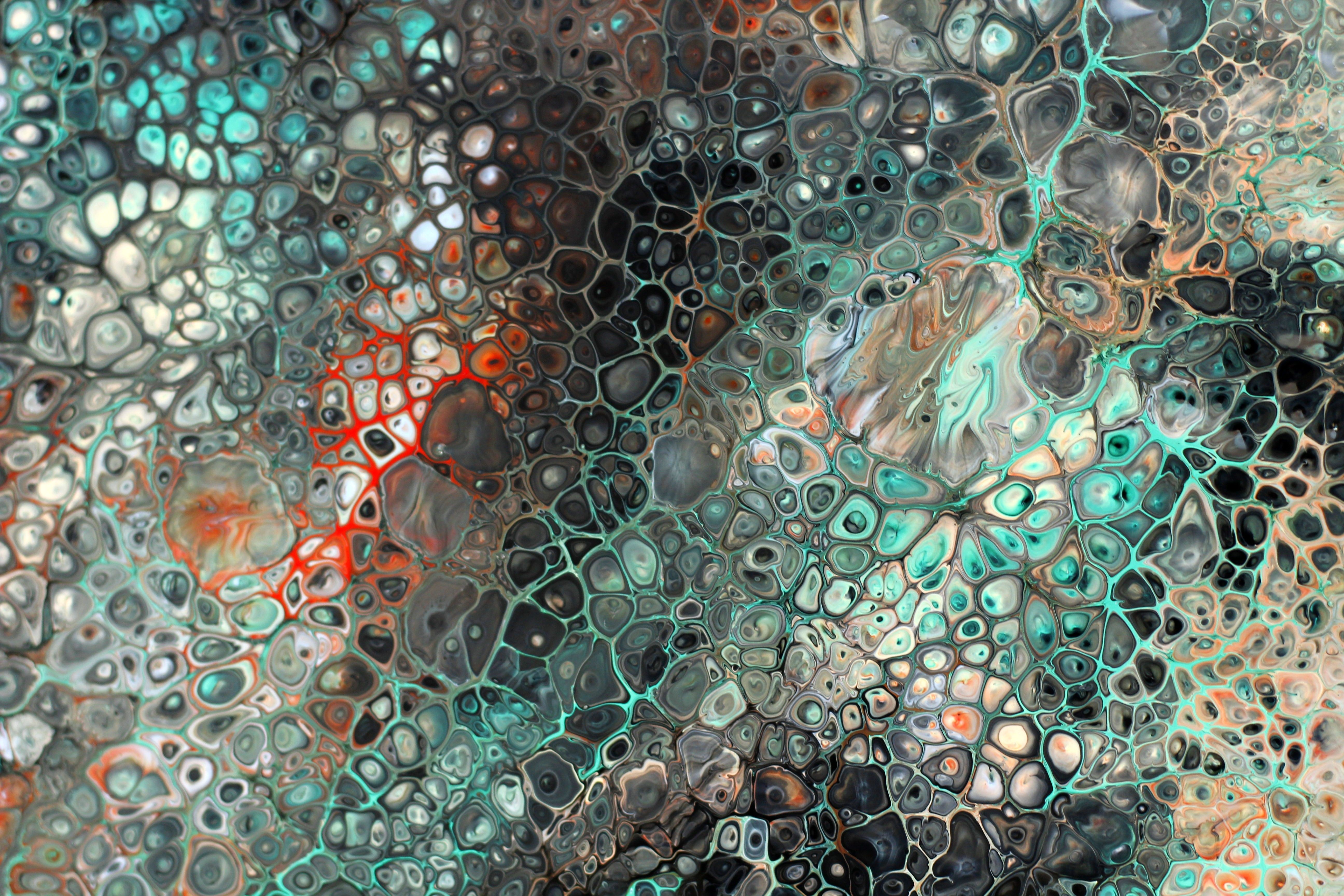 Vibrant Abstract Fluid Art with Cells · Free Stock Photo