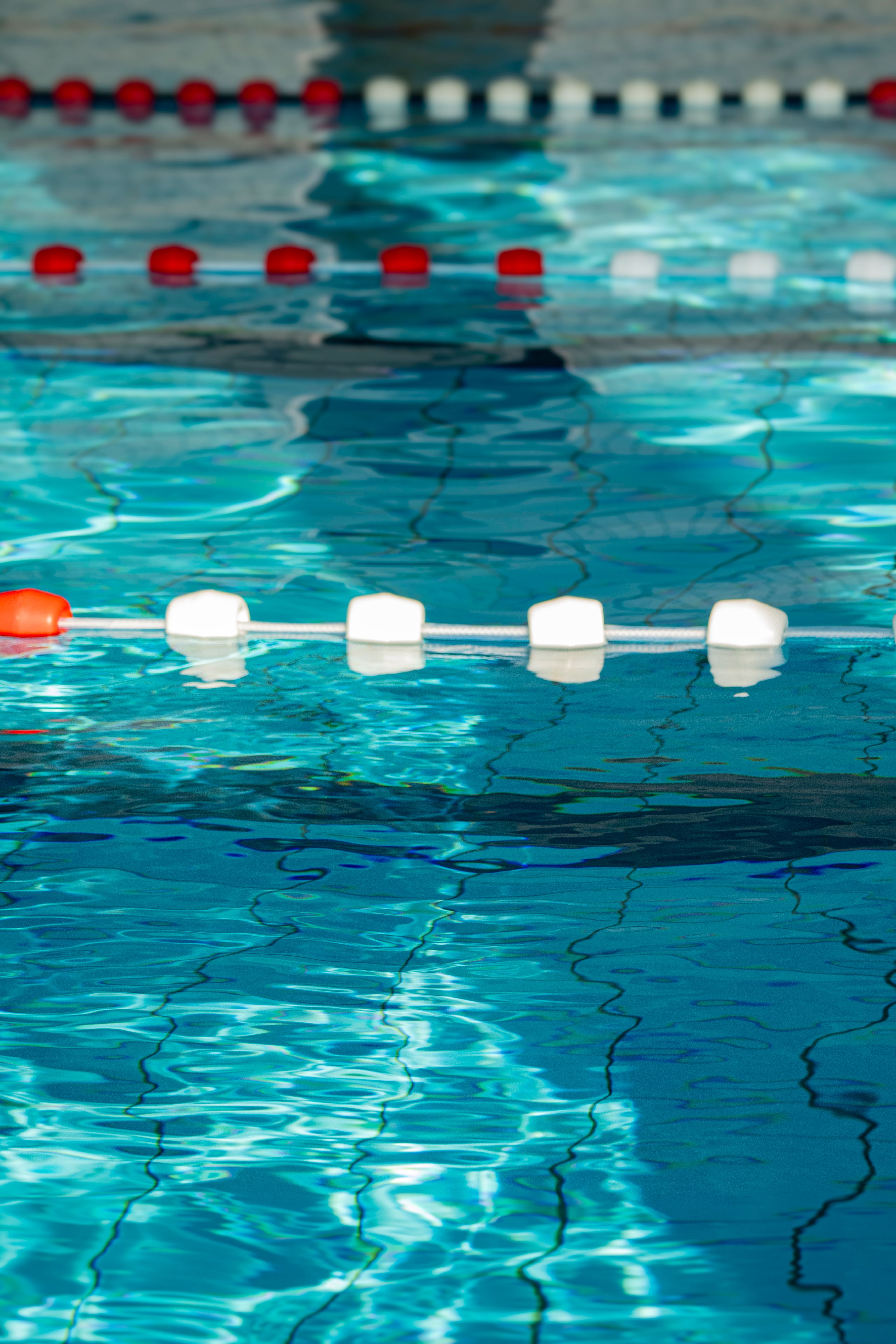 Serene Pool with Sunlit Ripples and Buoy Line · Free Stock Photo